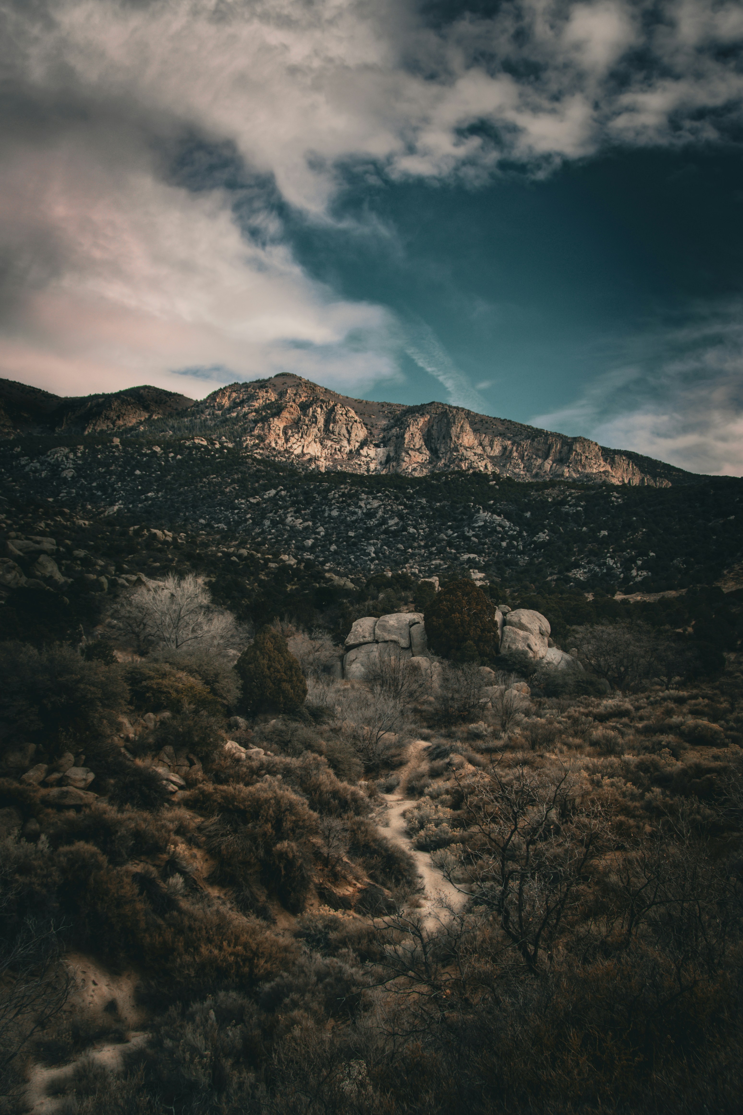 First time exploring this trail system and it was amazing but terrifying. This totally felt like a super chill spot for mountain lions to do their thing. I'll be back, probably with mace just in case.