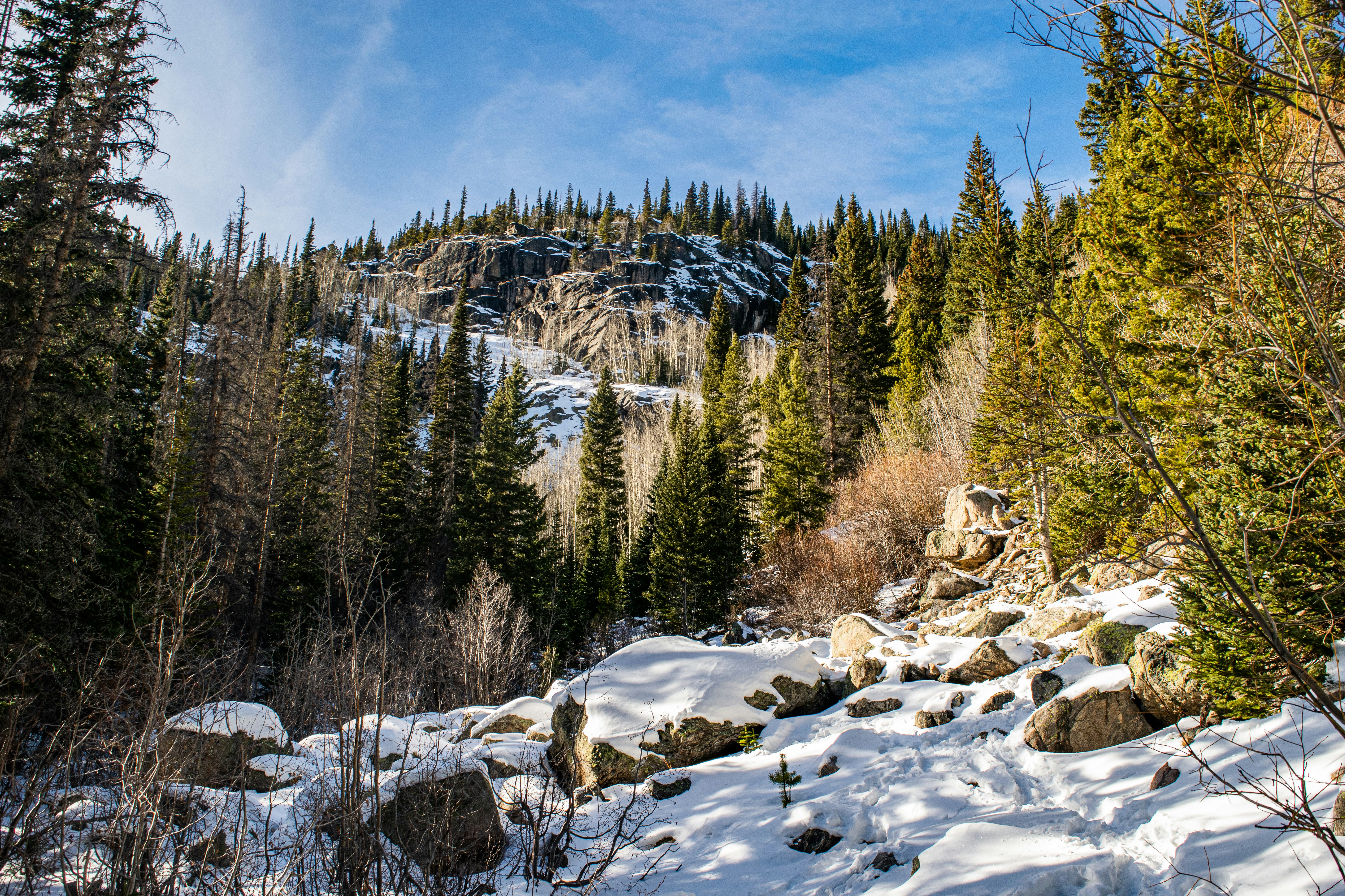 Snow-covered rocky terrain surrounded by evergreen trees under a bright blue sky.