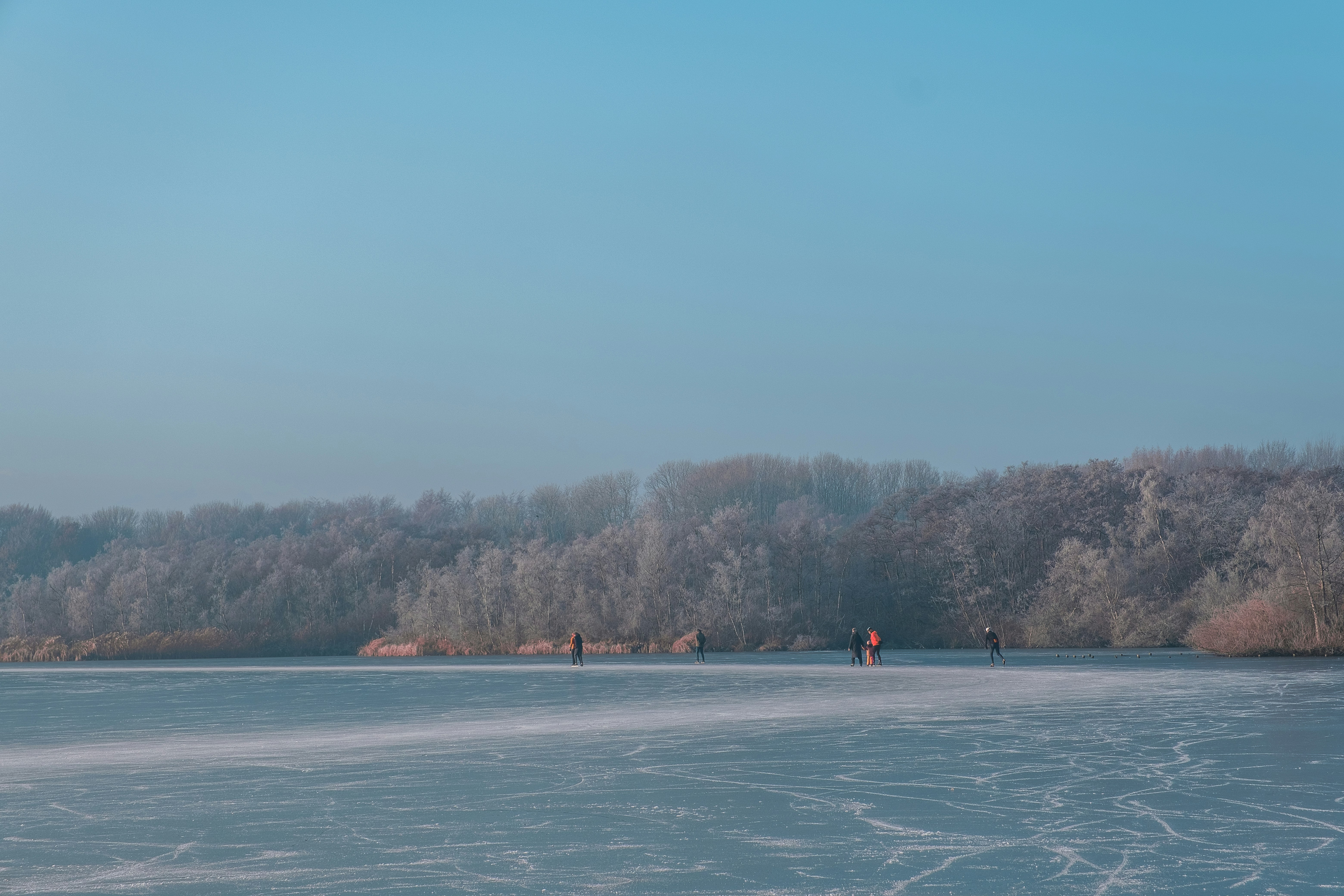 Skaters gliding across a frozen lake surrounded by frosted trees on a clear winter day.