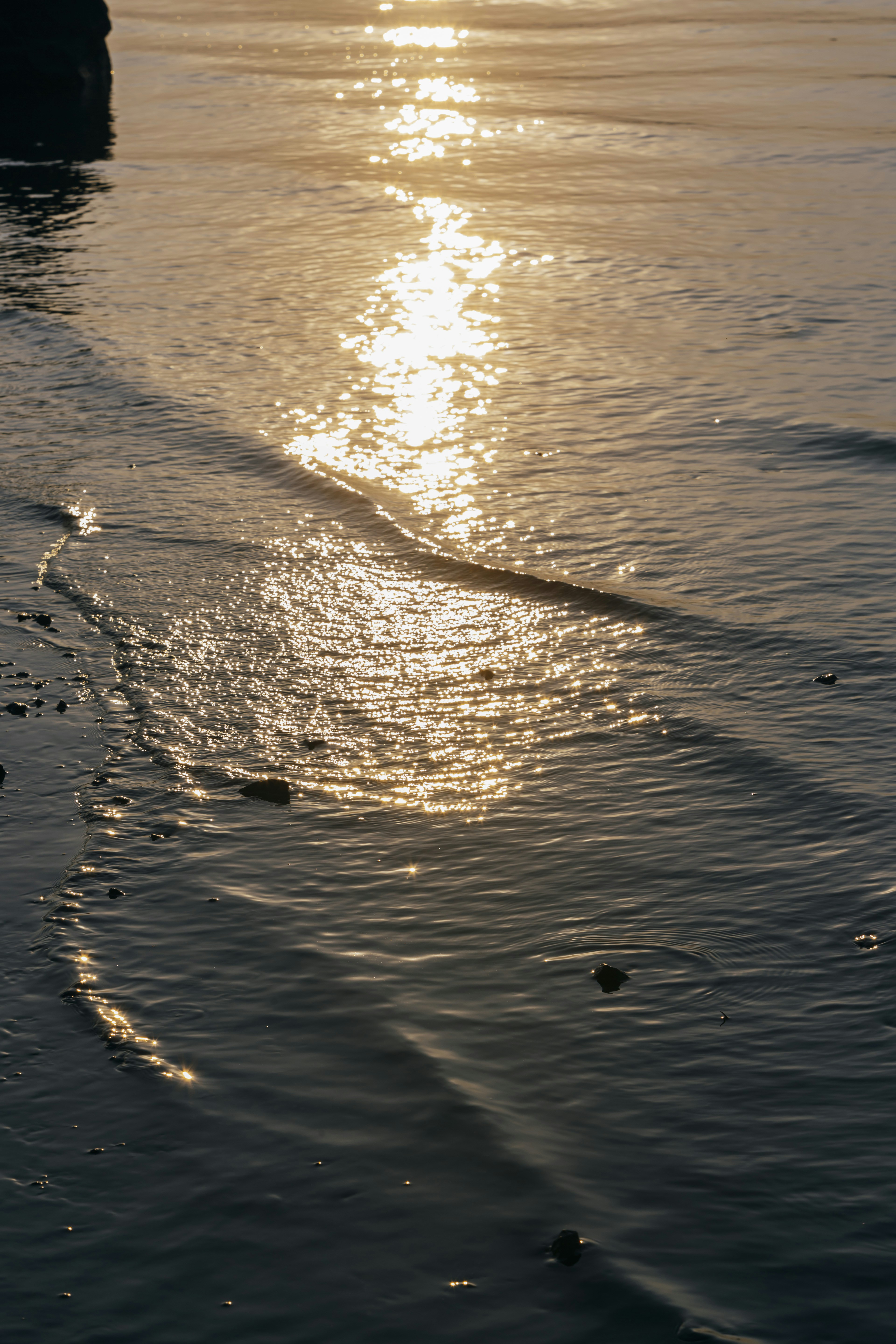 Summer | 21 best free summer, green, outdoor and vegetation photos on ...