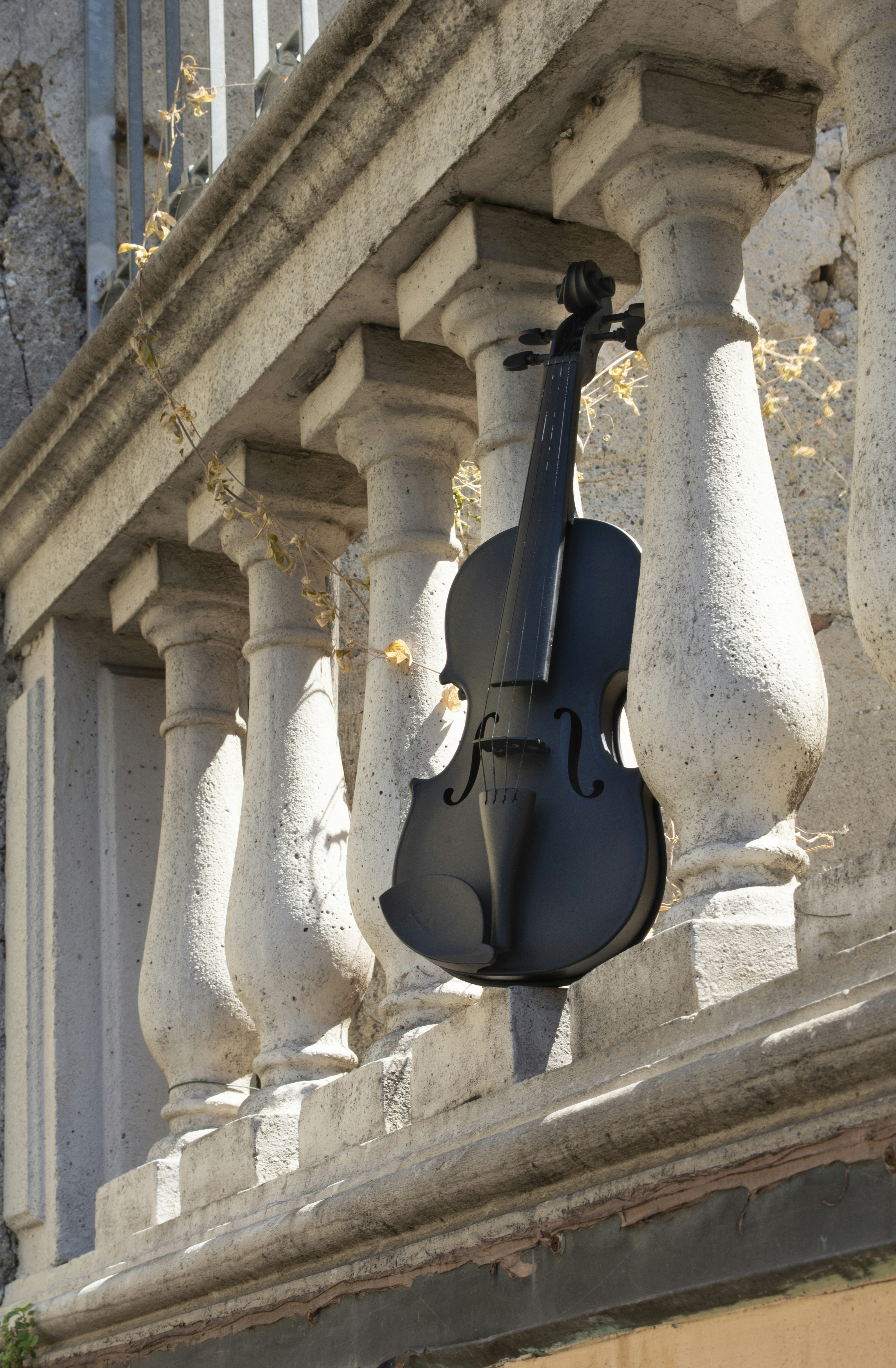 Fiddle Pictures | Download Free Images on Unsplash