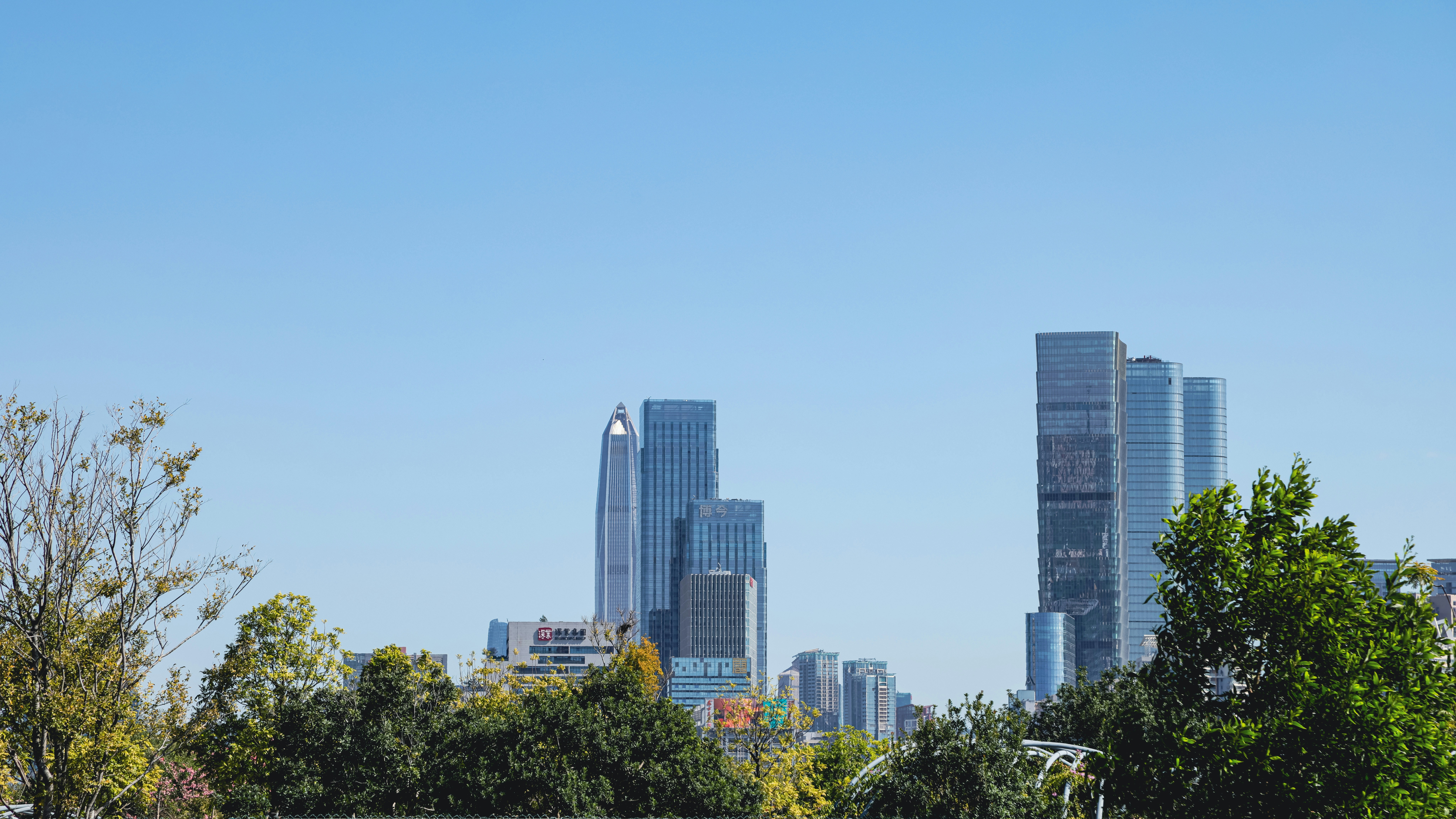 A view of a city skyline from a park photo – Free Urban Image on Unsplash