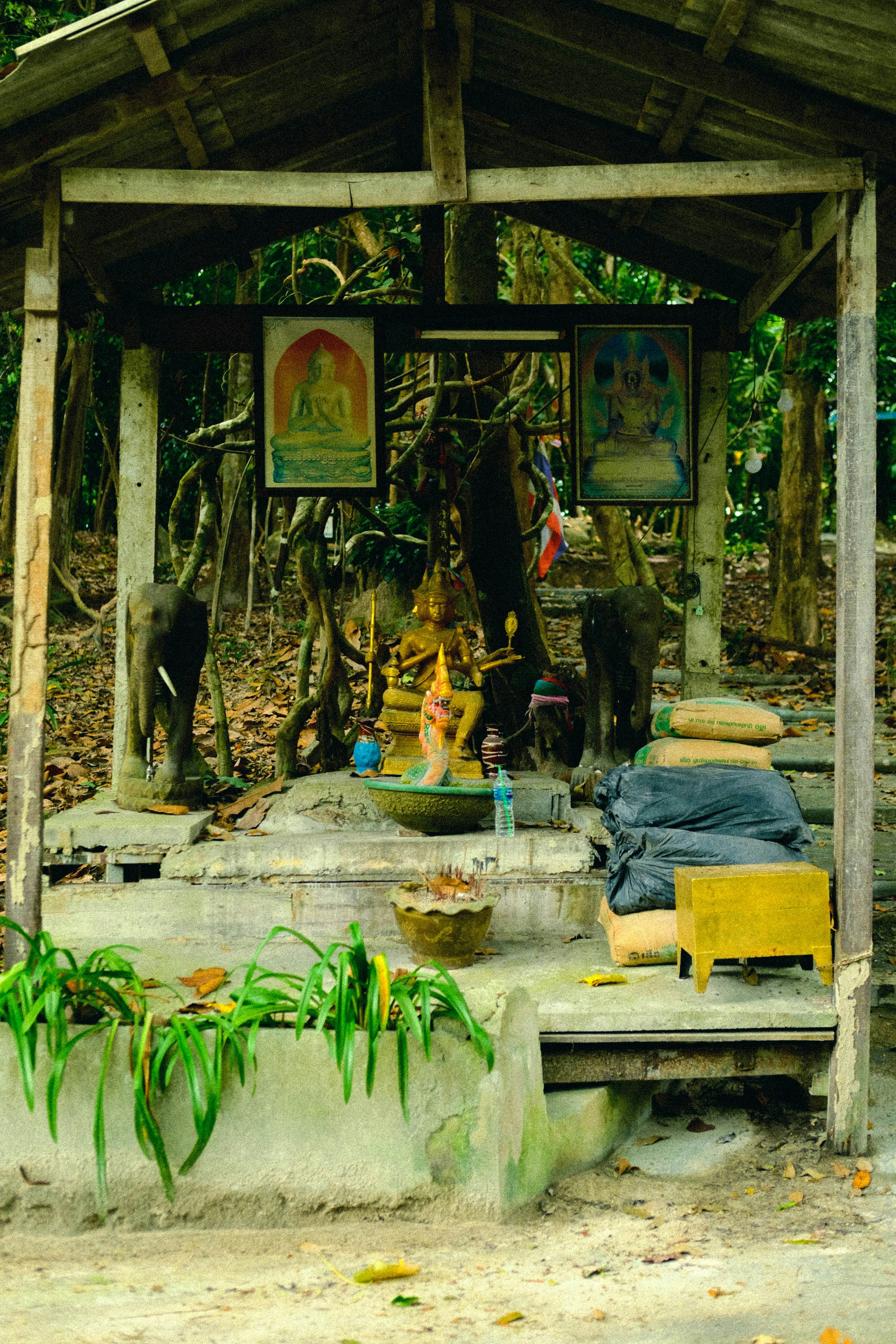Framed Deities and a Golden Shrine in a Quiet Jungle Altar
