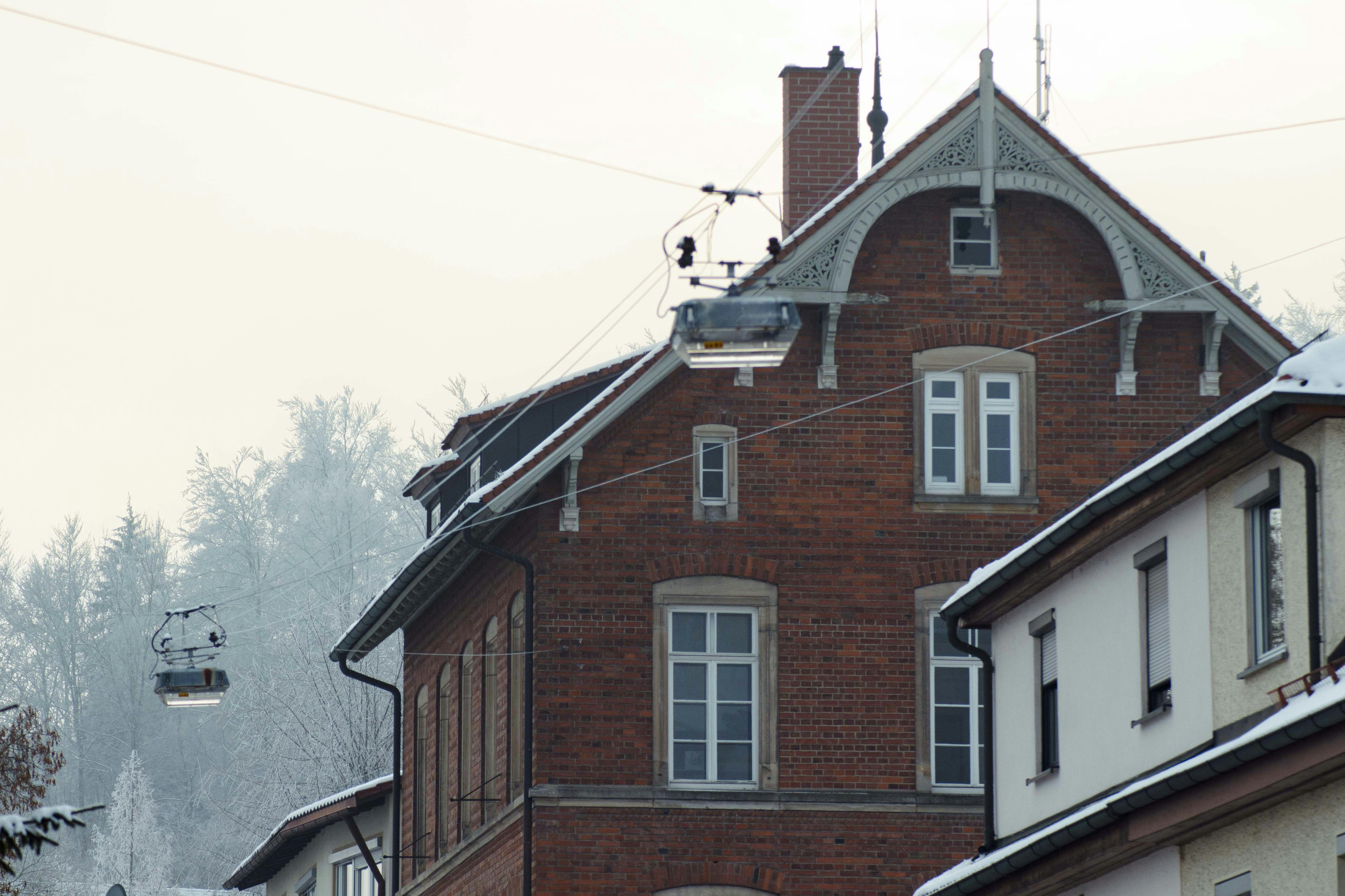 Photo by Robin the Bird with Canon EOS 700D