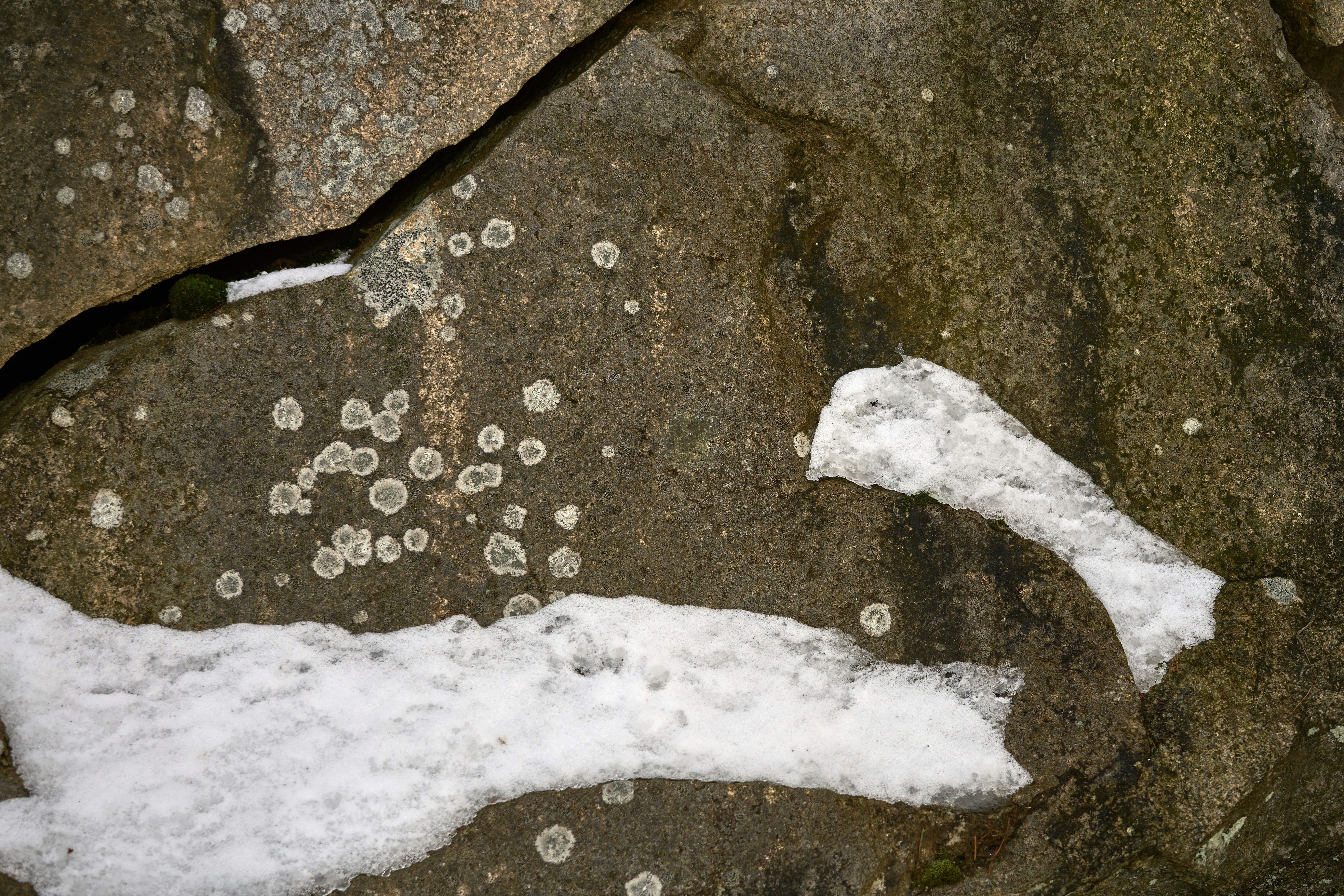 A close up of a rock with snow on it photo – Free Image on Unsplash