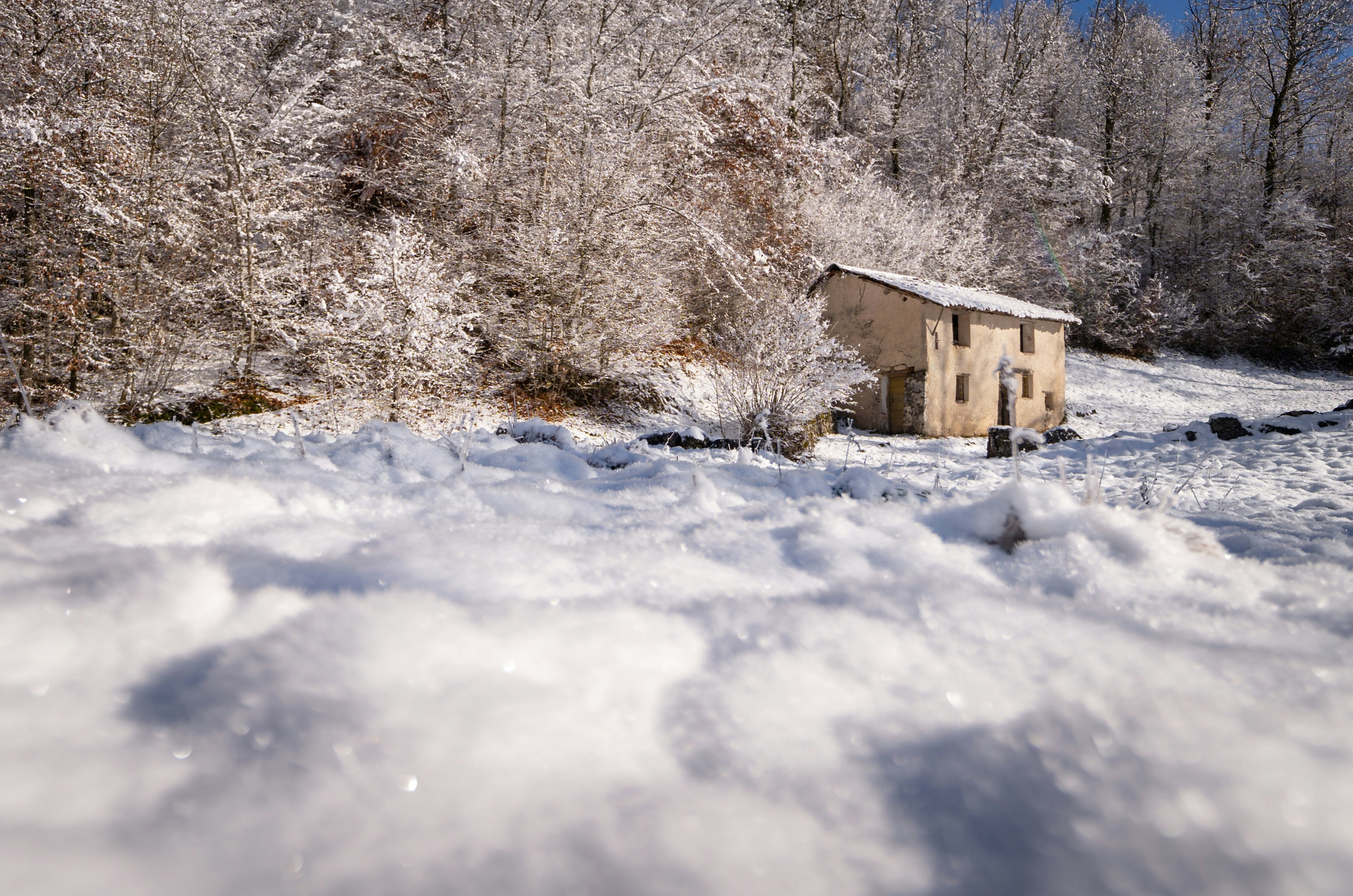 A house in the middle of a snowy field photo – Free Snow Image on Unsplash