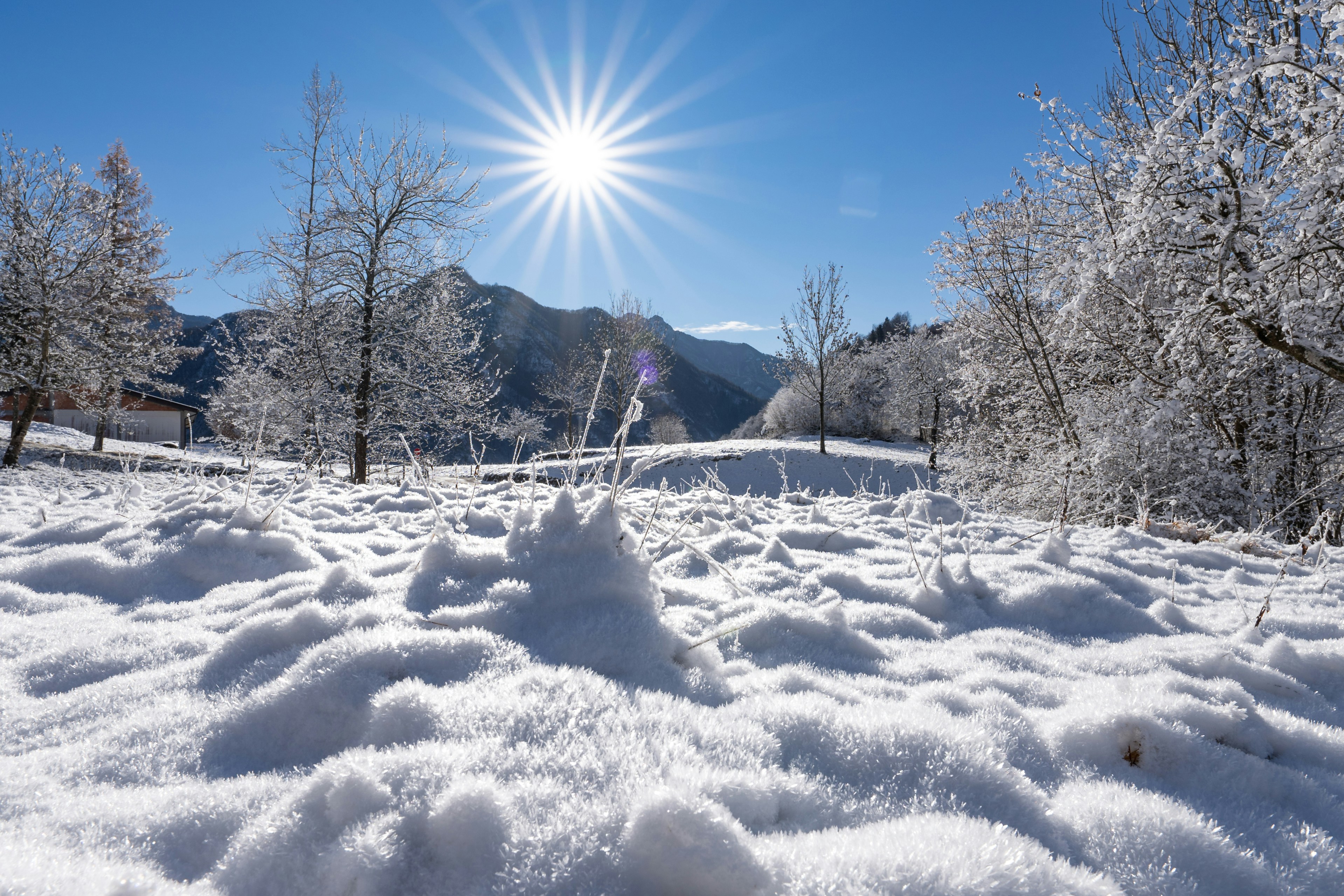 The sun shines brightly over a snowy landscape photo – Free Snow Image ...