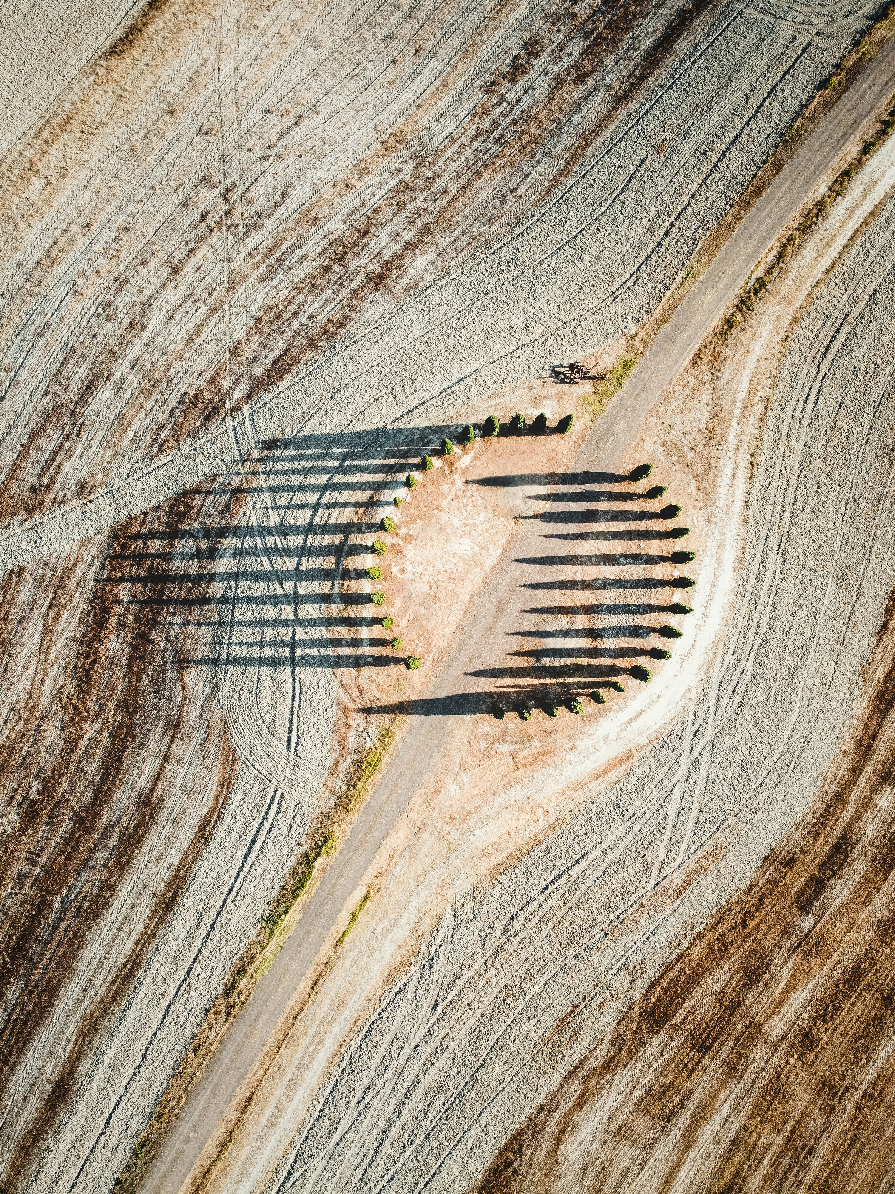 An aerial view of a dirt field with trees photo – Free Val d'orcia ...