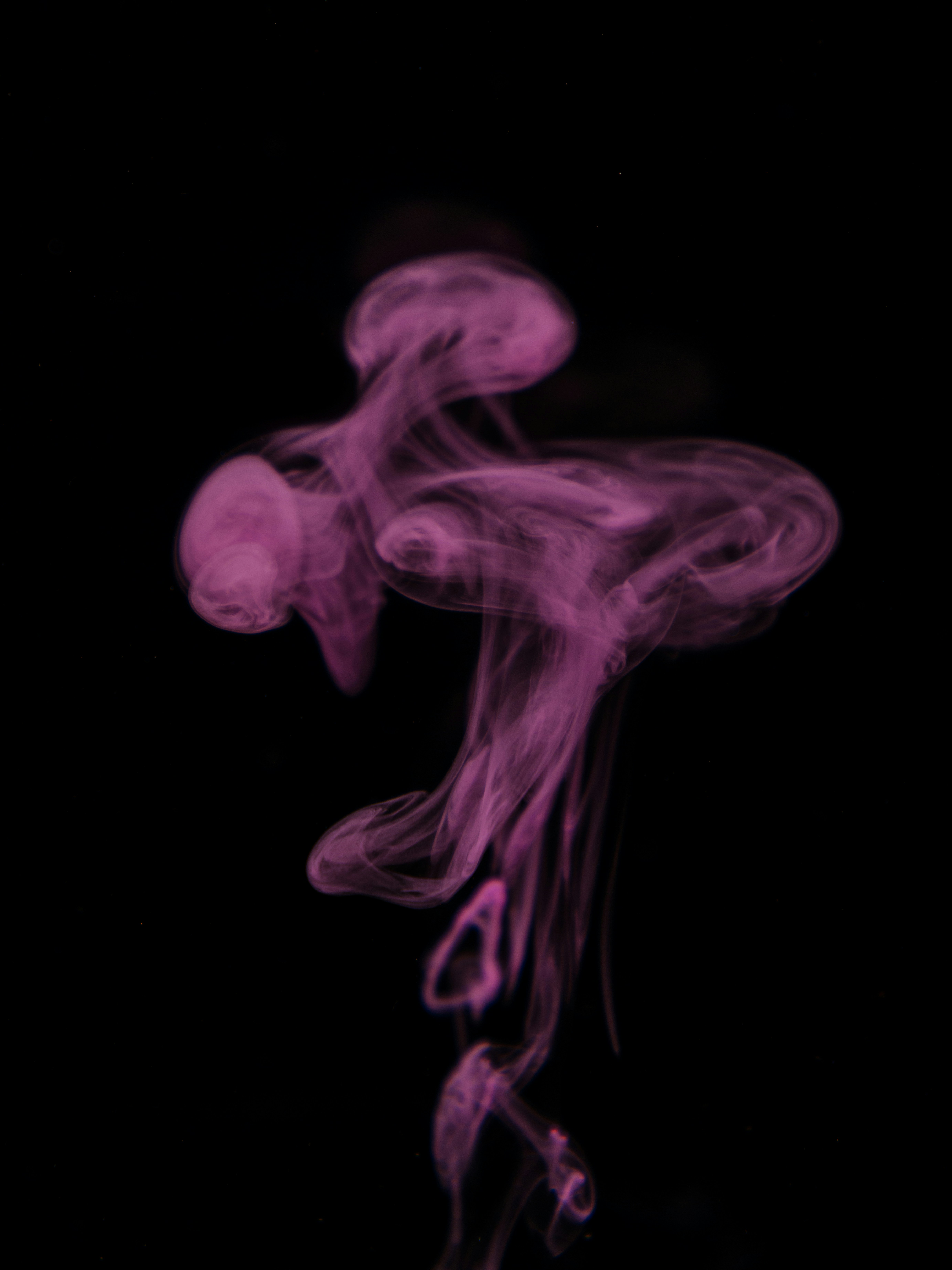 ink in water