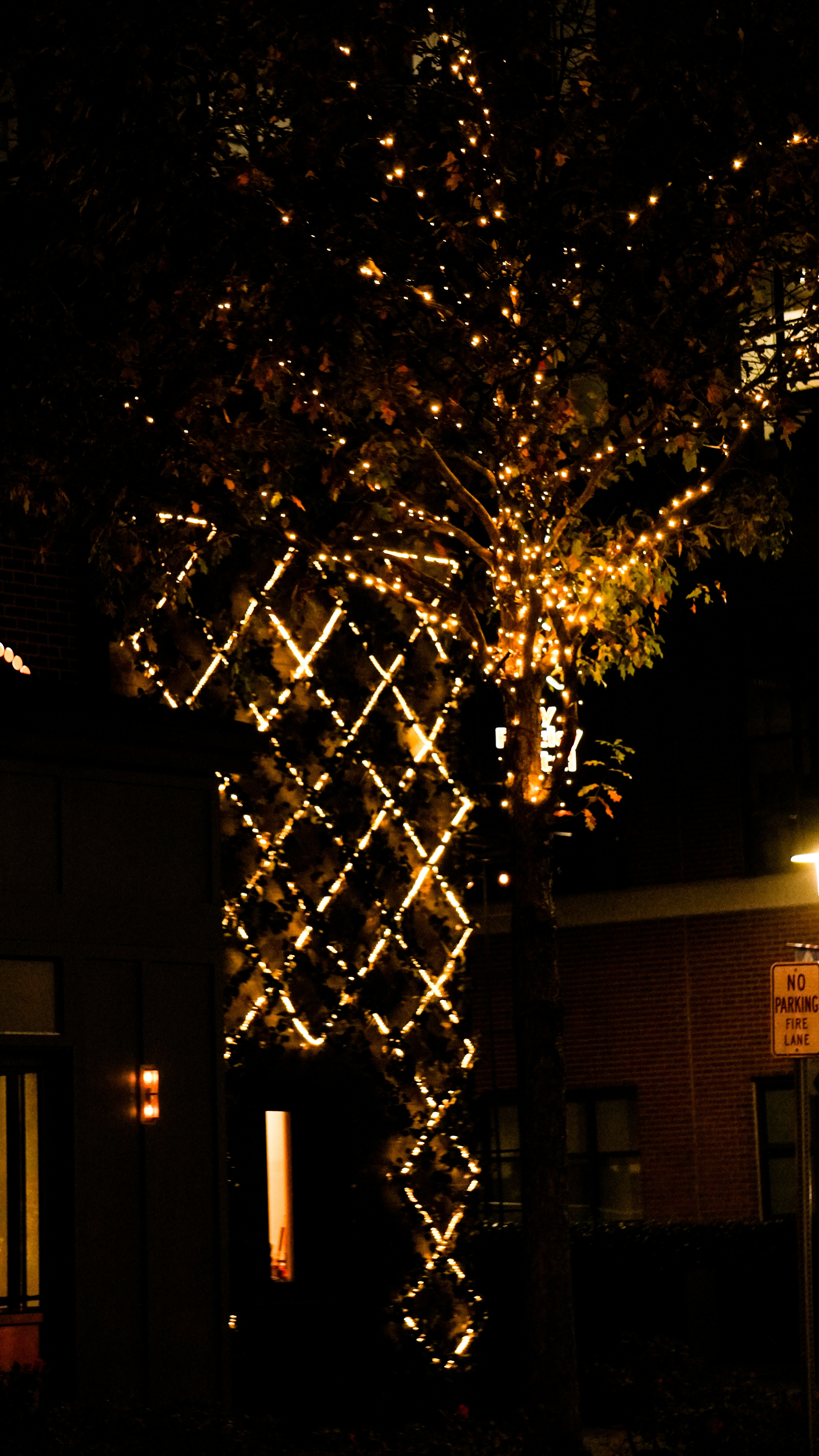 Photo by Koushalya Karthikeyan with Sony Alpha 6100