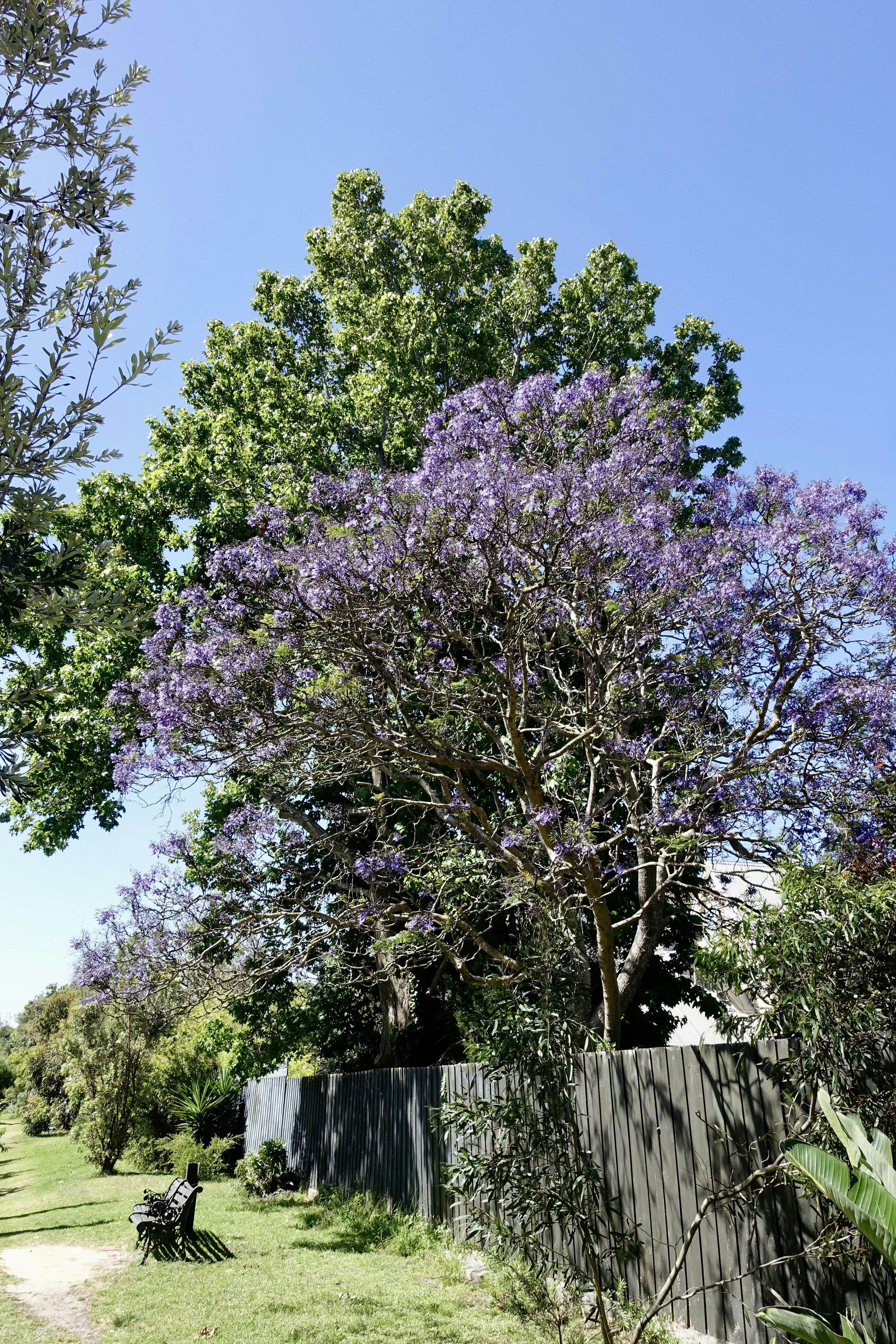 Photo by Max Smith with Sony RX100 III