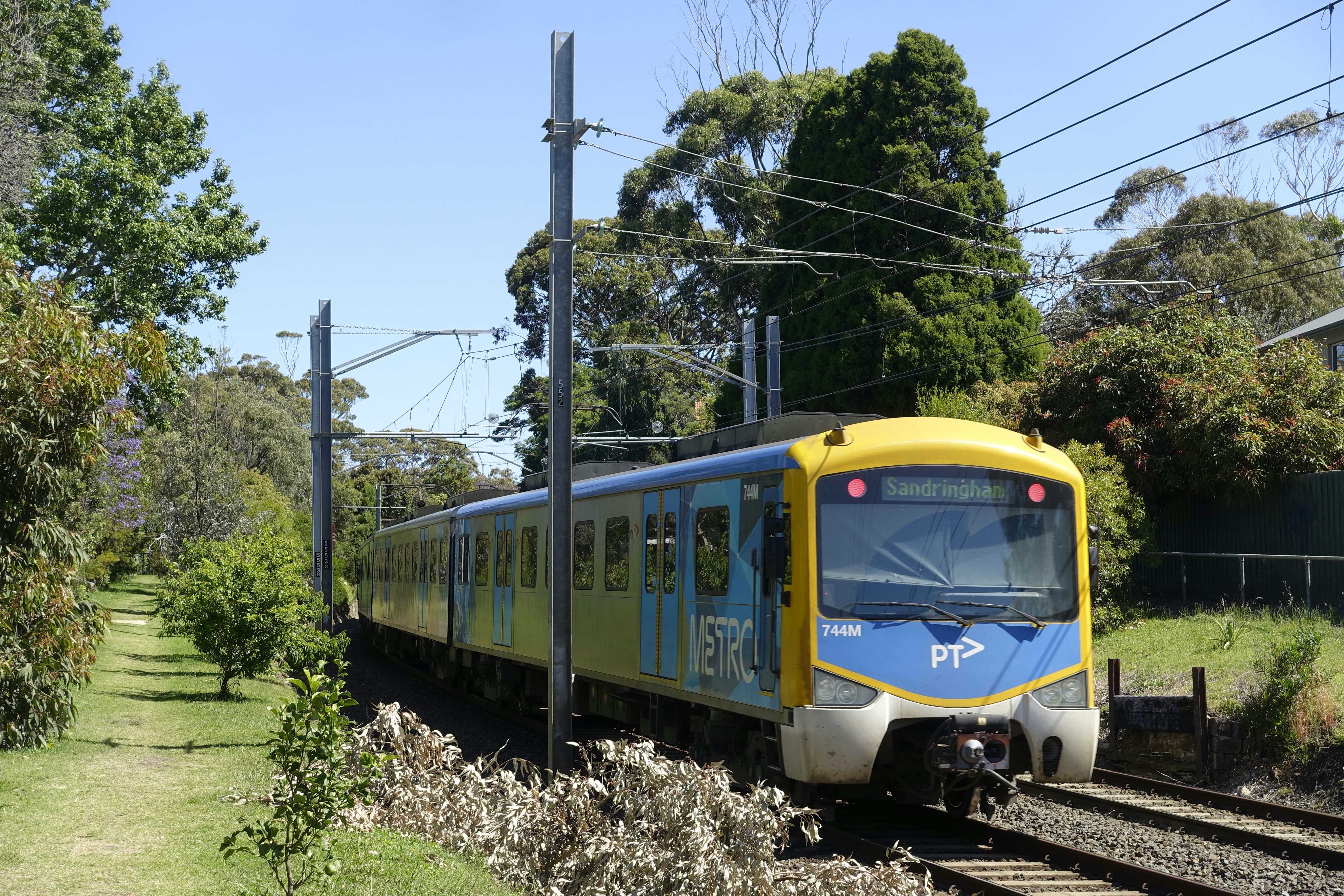 Sunlit Yellow-Blue Metro Train Rounding a Verdant Curve