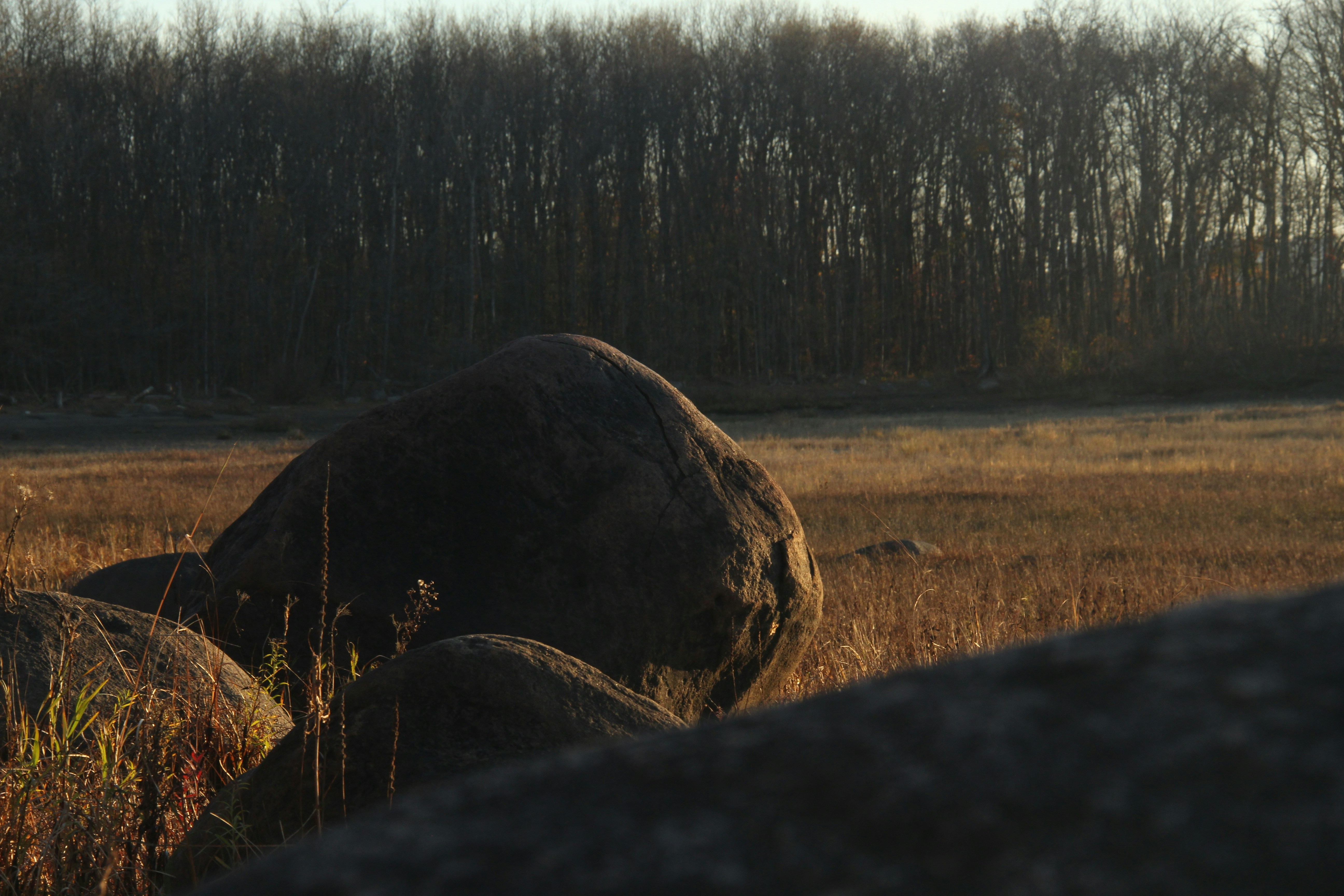 A large rock in a field with trees in the background photo – Free ...