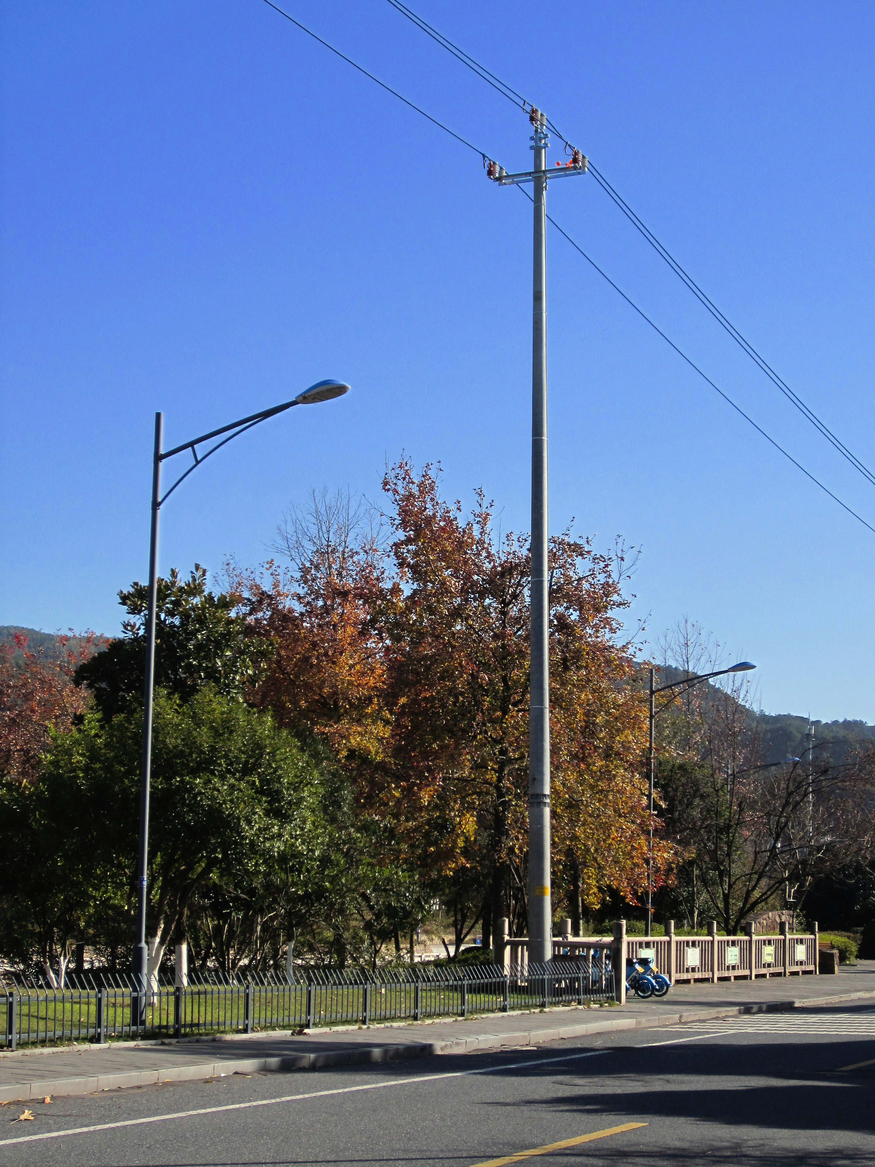 Vibrant autumn foliage lining a peaceful street under a clear blue sky, with streetlights and utility poles framing the scene.