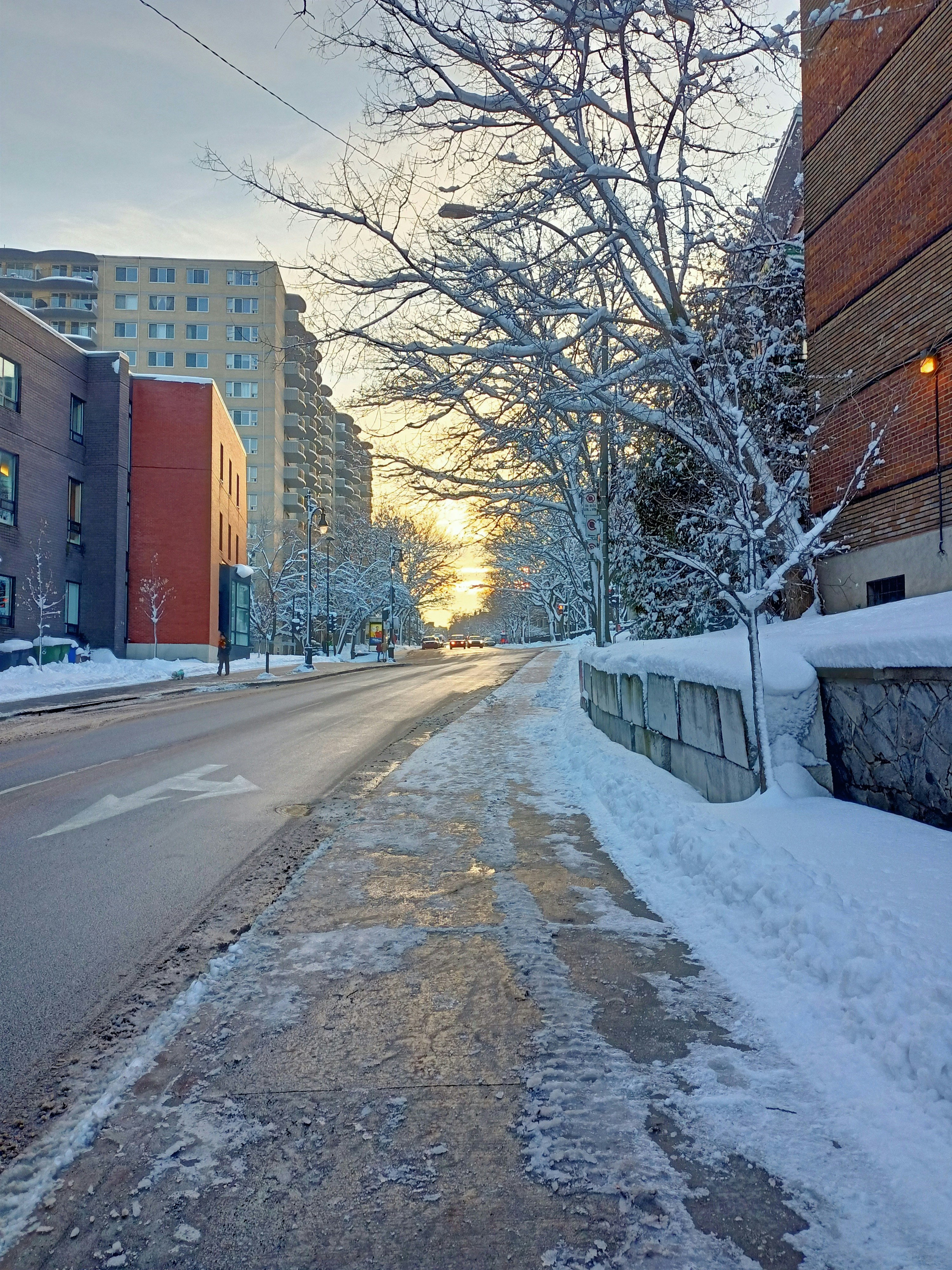 Sample photo from Realme 7