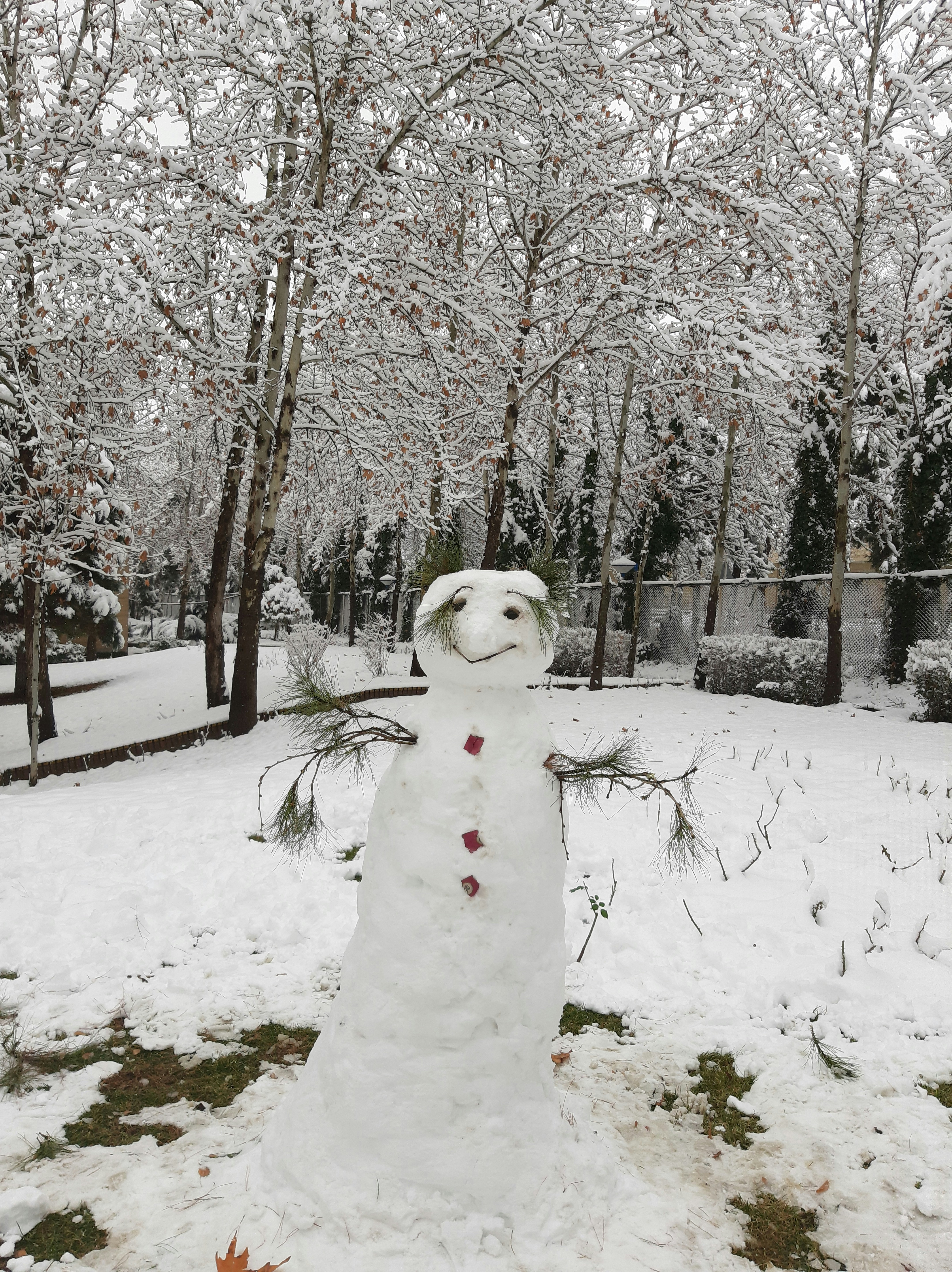 A snowman in the middle of a snowy yard photo – Free Winter Image on ...