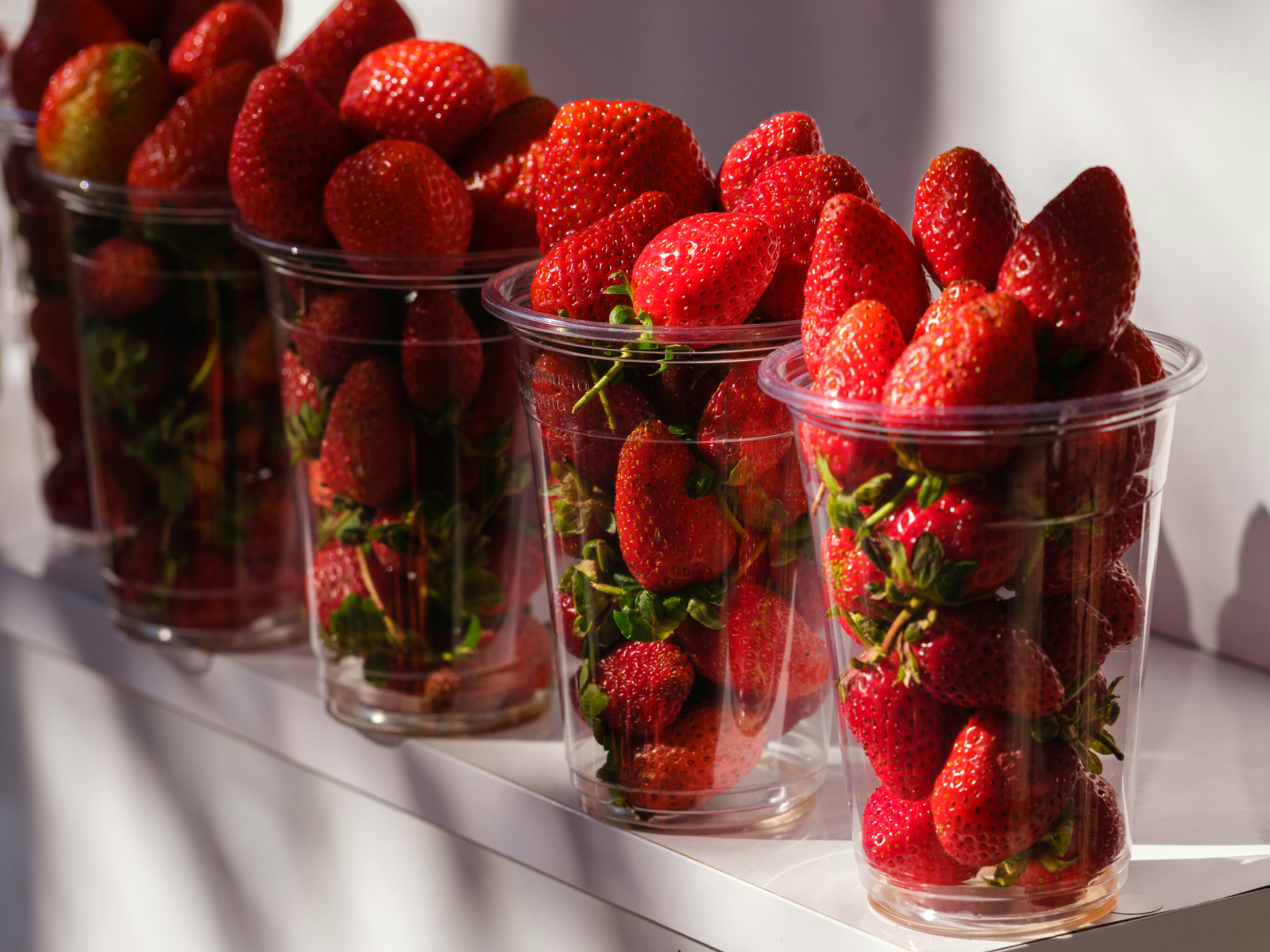 Fondo De Pantalla Comida Fresas Frescas Imágenes De Fresas Frescas