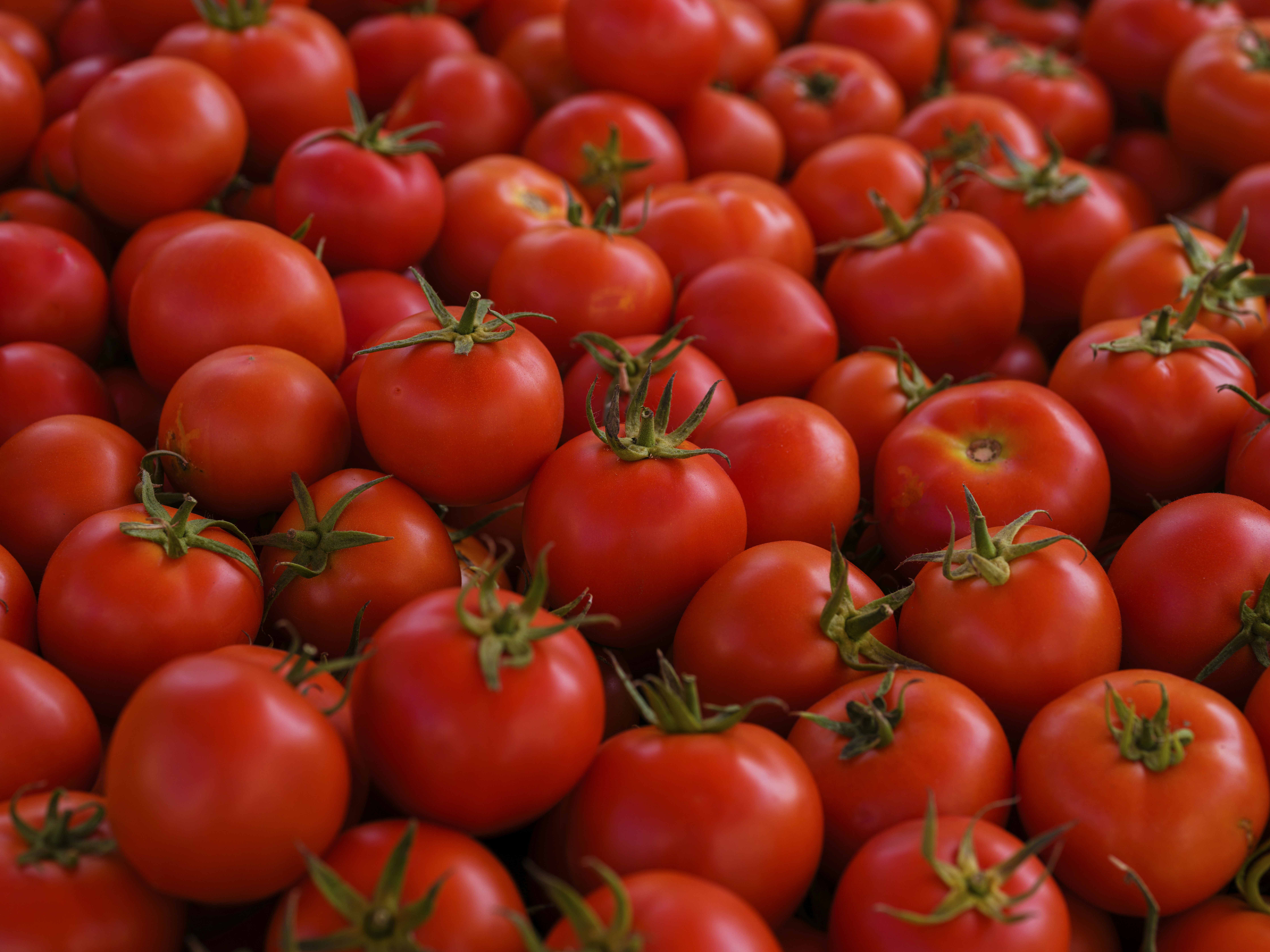 Un grand tas de tomates rouges assises les unes sur les autres photo ...