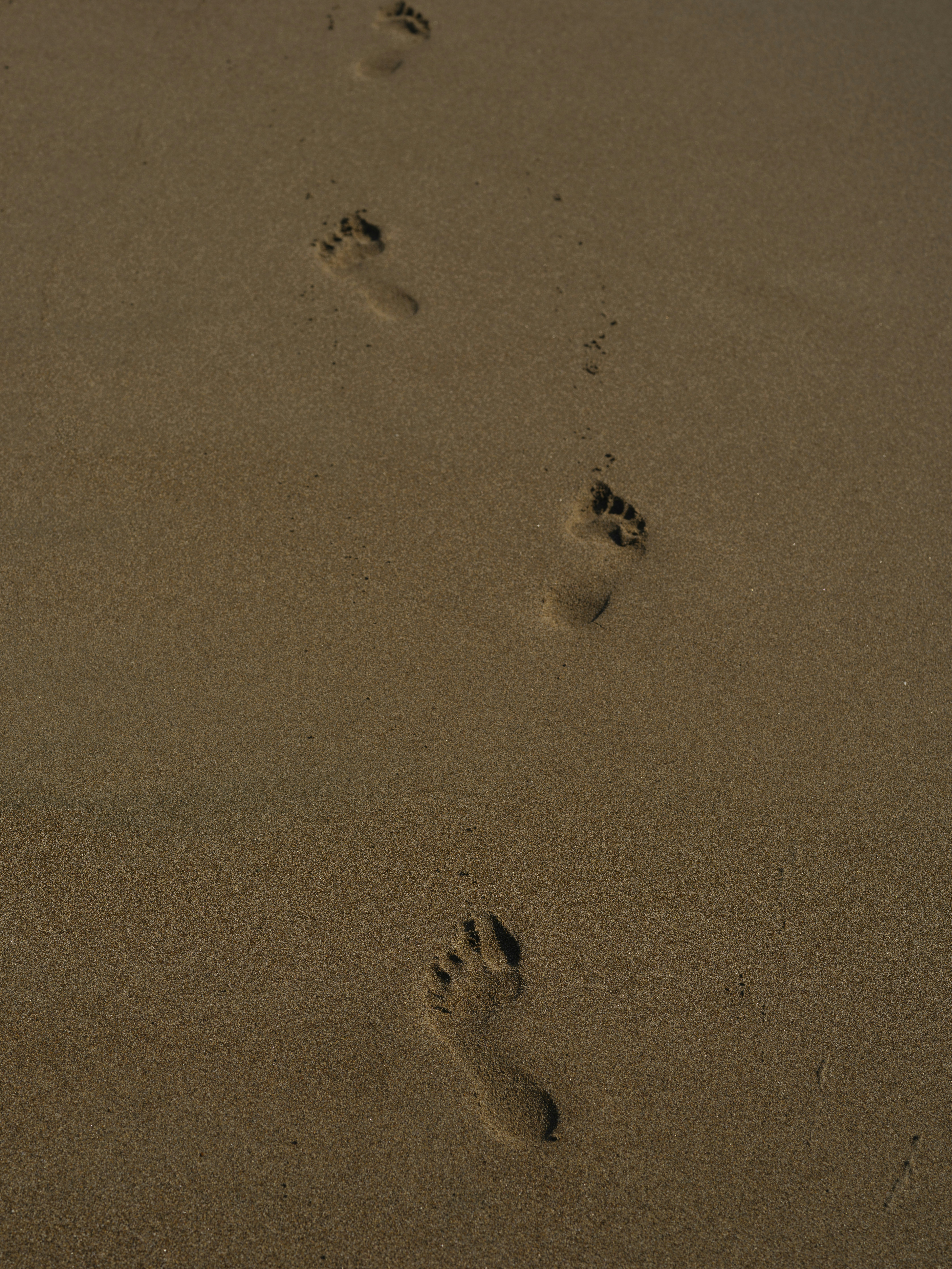 Footprints trailing across a smooth sandy beach.