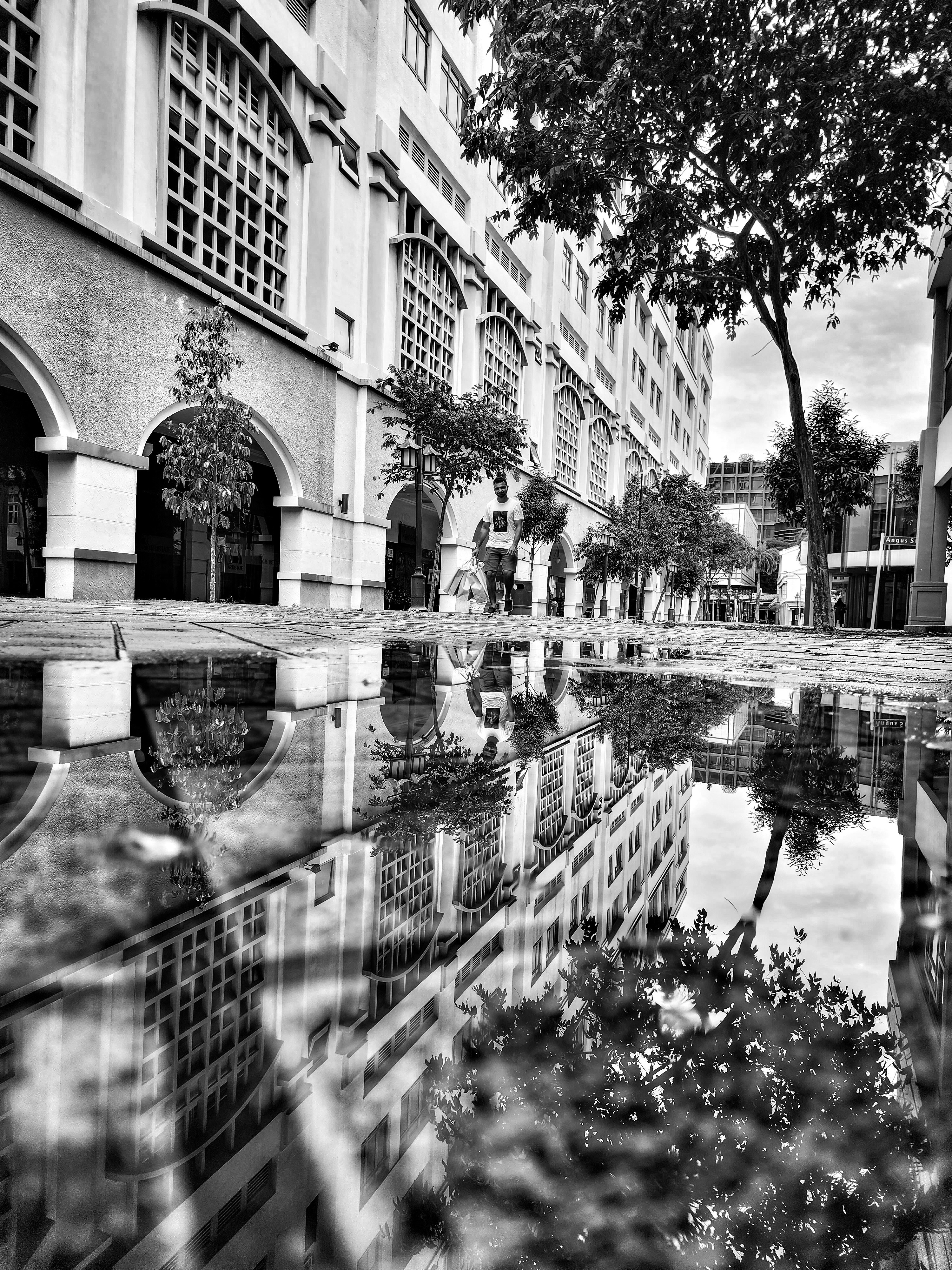 Reflected Corridor: Monochrome Campus in Quiet Rain