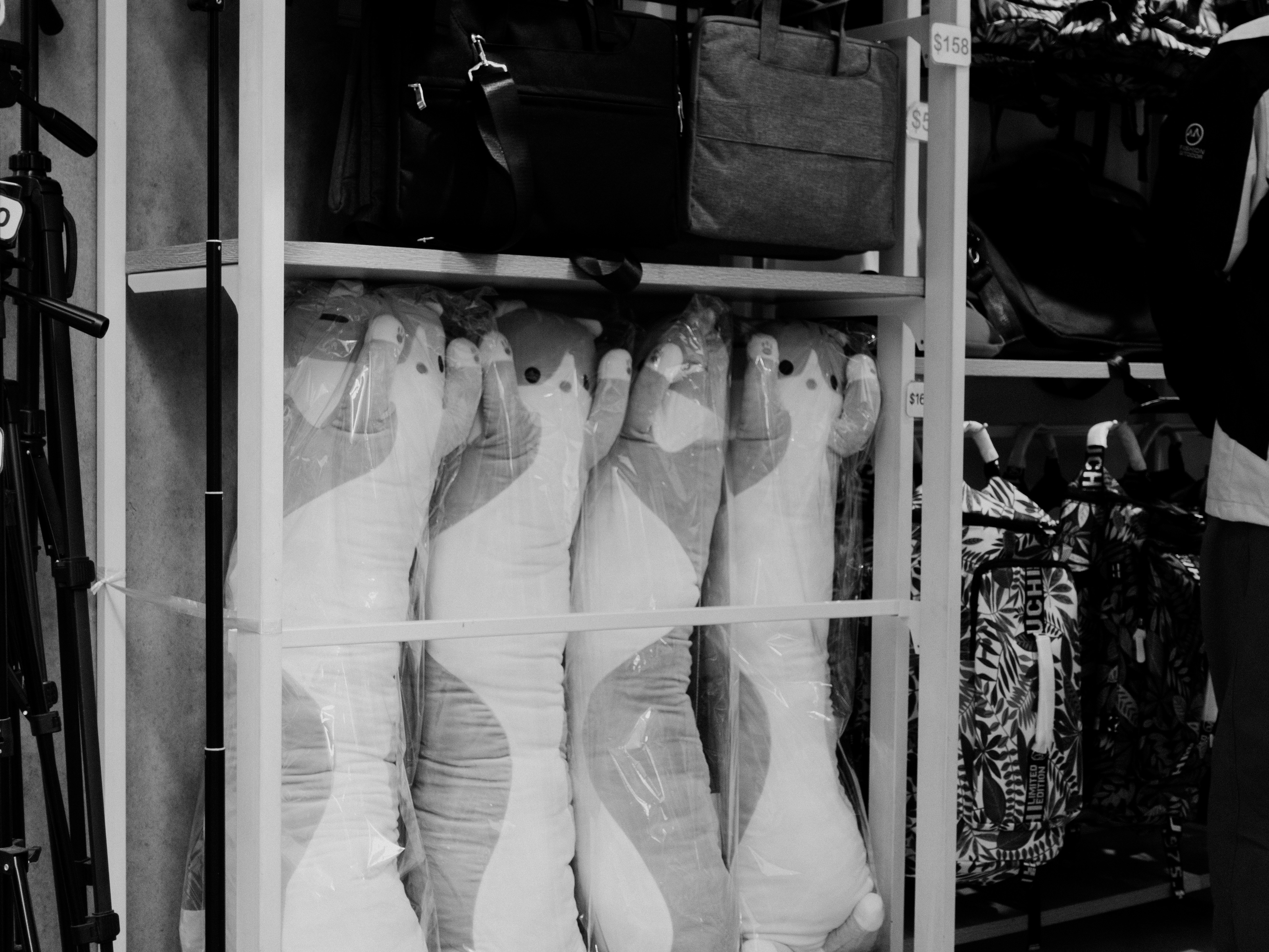 Glass-front Retail Symmetry: Rows of White Forms Behind the Aisle