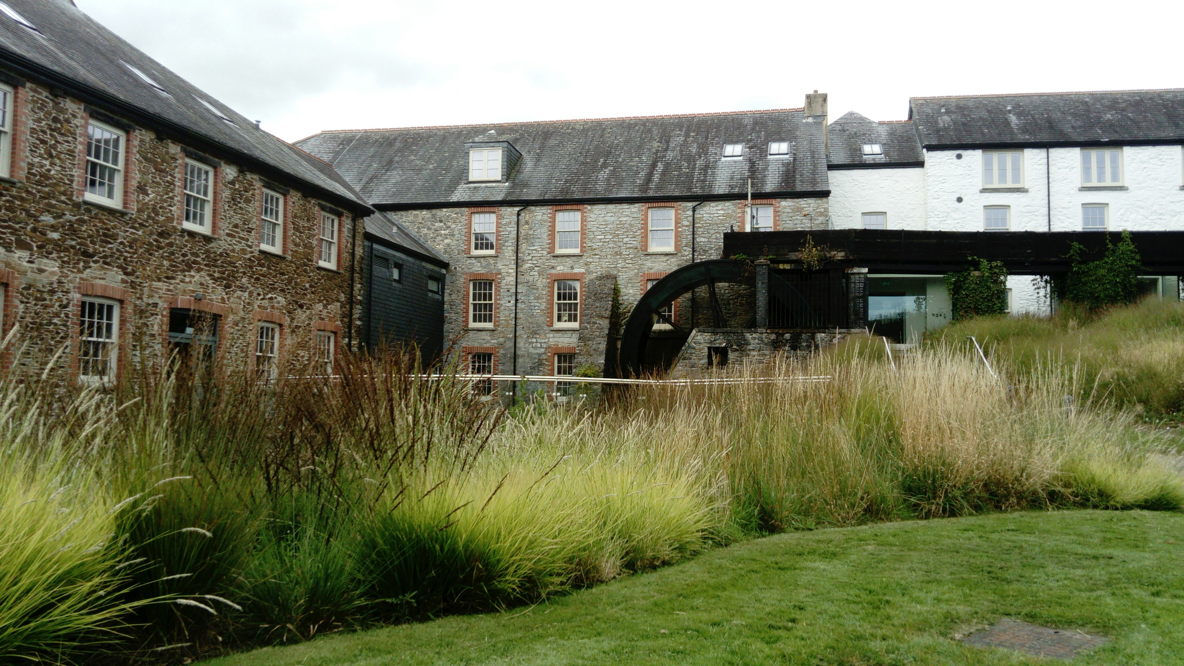 Historic stone buildings framed by lush grass and wild plants, showcasing a blend of nature and heritage.