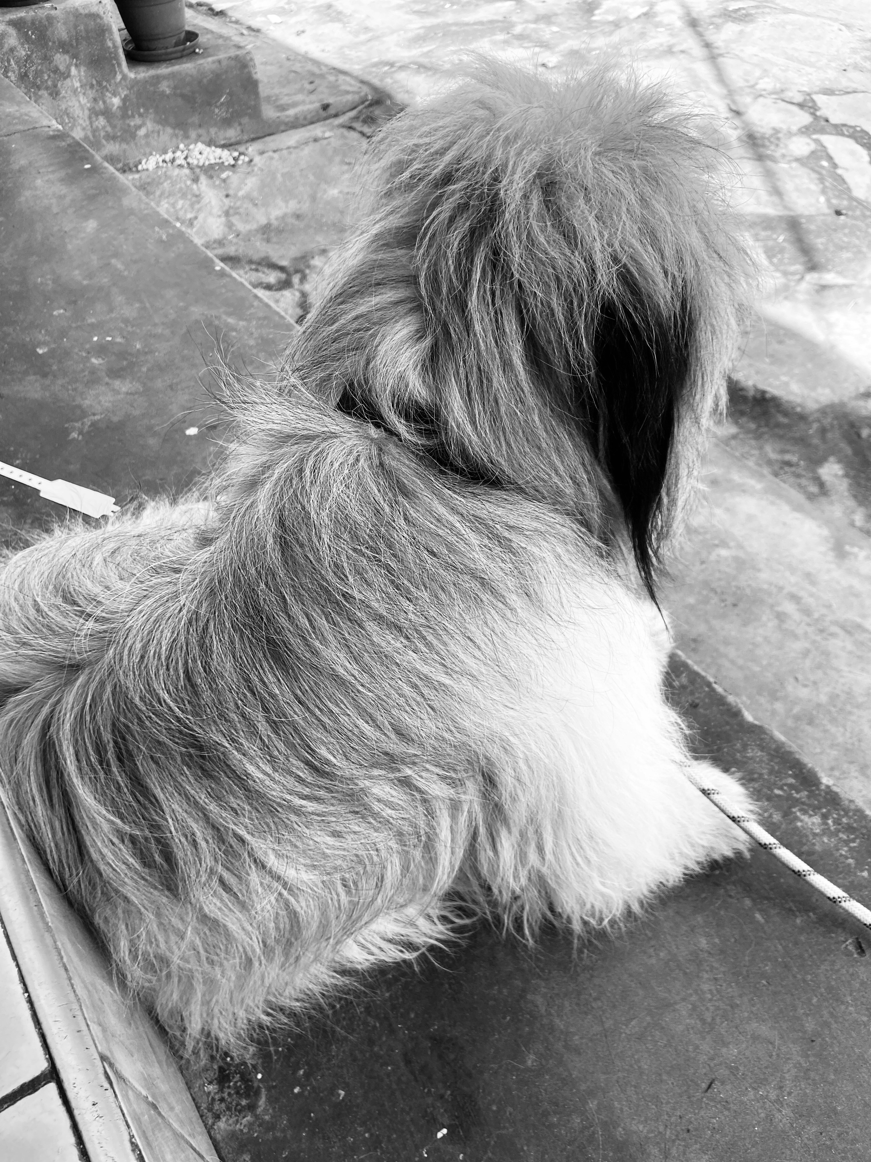 Jonathan Mwebaze (@jonahgeek) | Komunitas Foto Unsplash