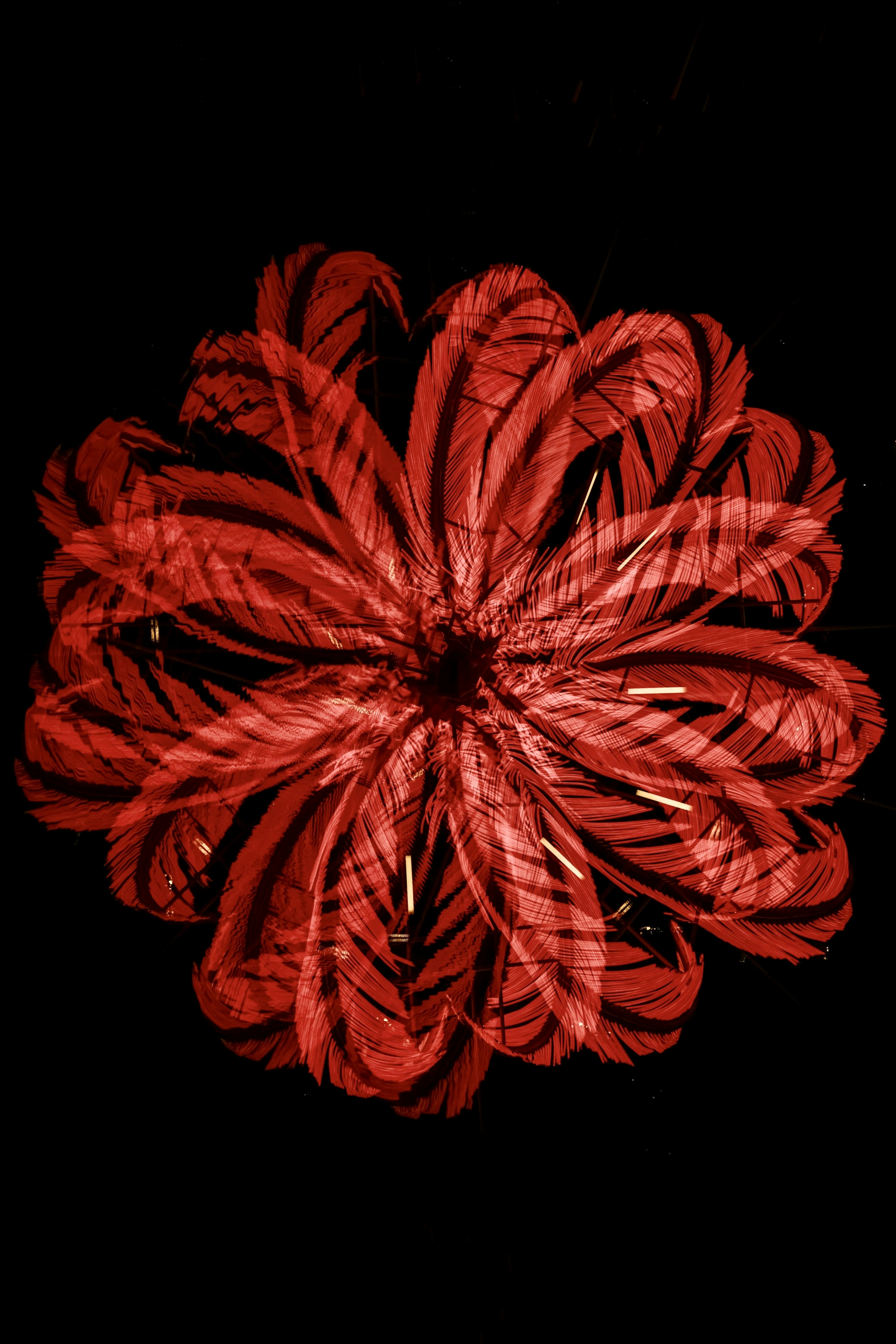 TINDERA Image Clipart Pictures | Download Free Images on Unsplash