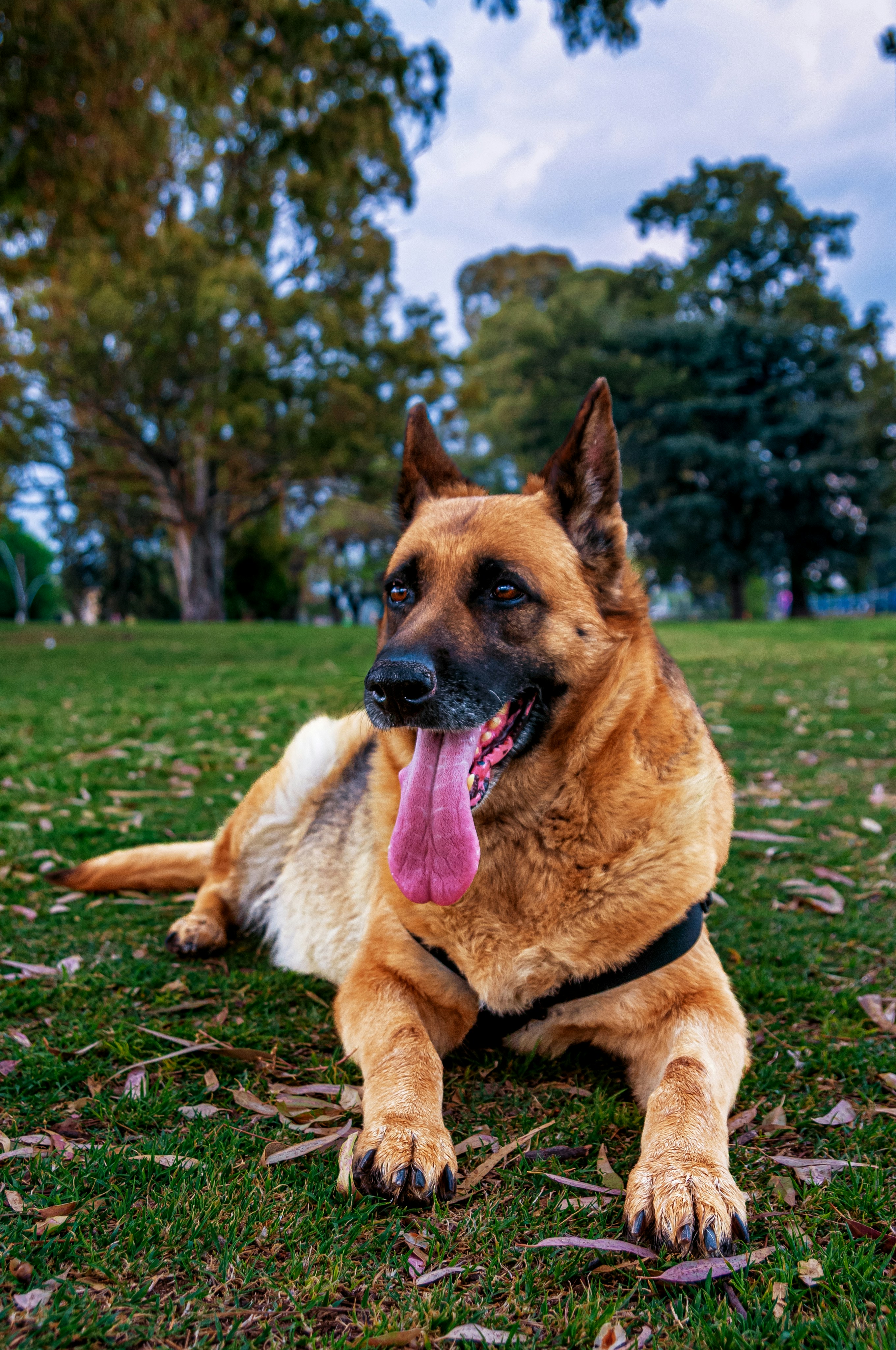 Photo by Rafael Hoyos Weht with Nikon D2X