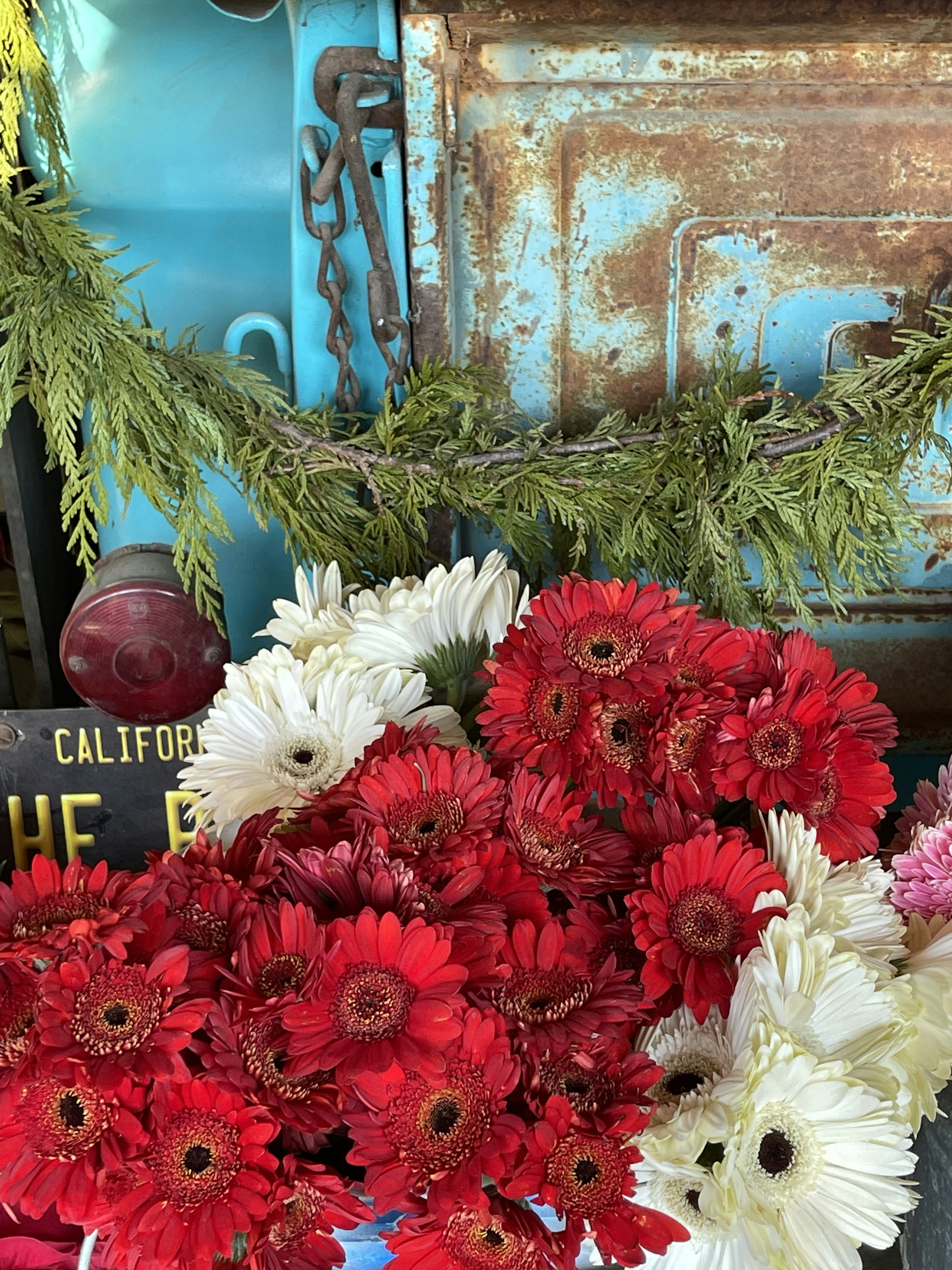 Crimson Gerbera Bouquet Framed by Timeworn Turquoise Metal