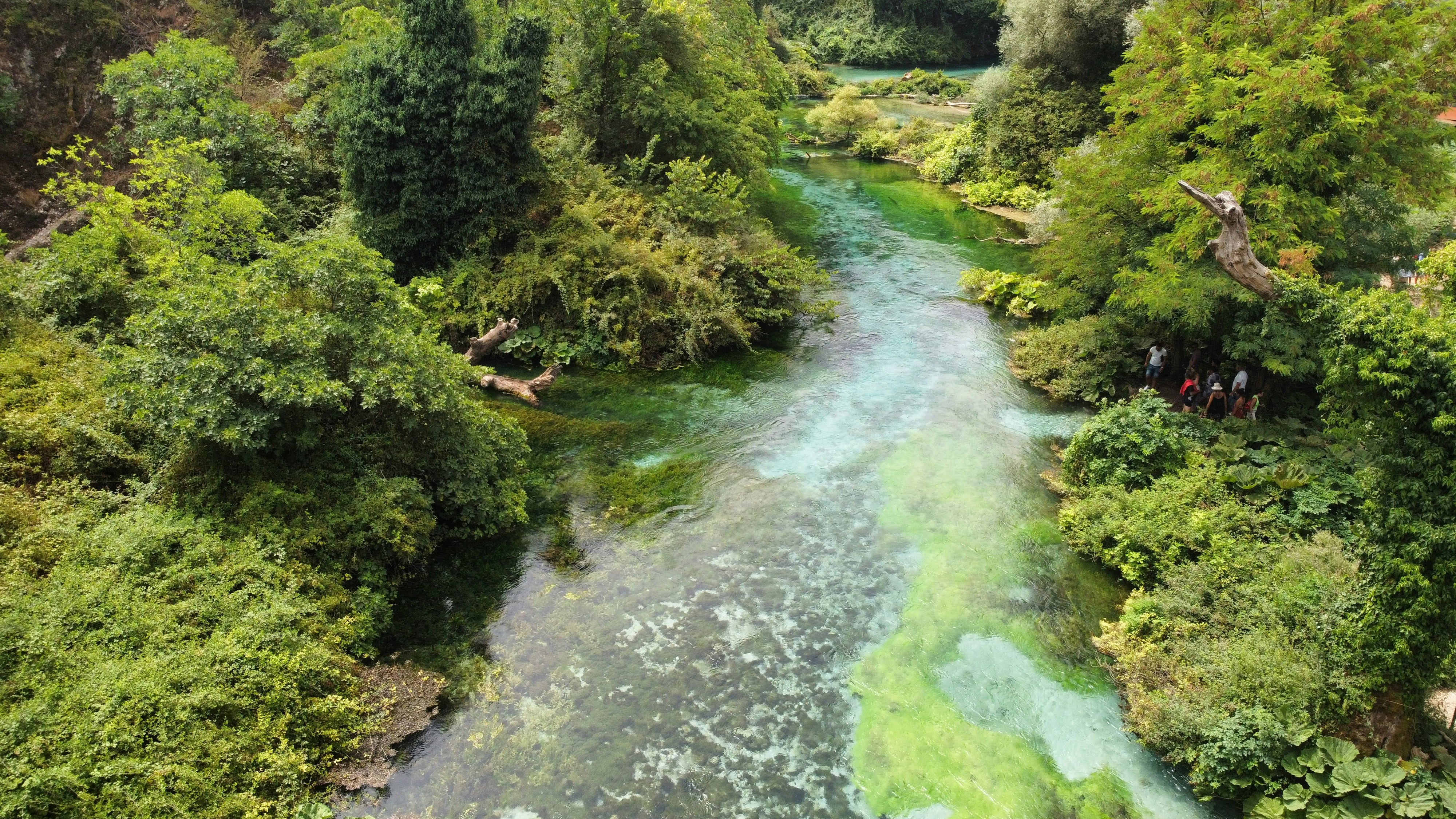 A river flowing through a lush green forest photo – Free Land Image on ...