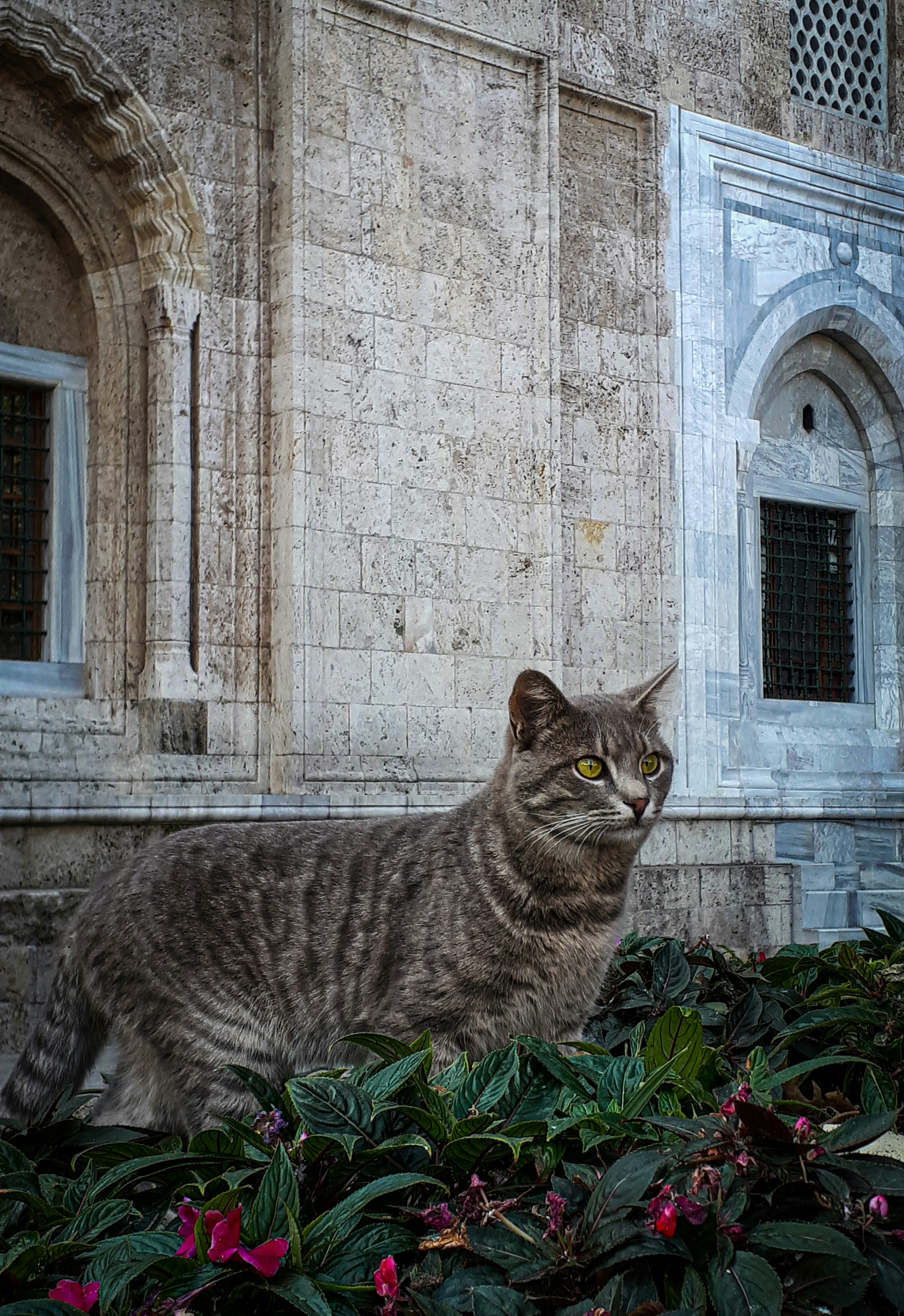 Photo by Bedir Zana Demir with Samsung Galaxy A7