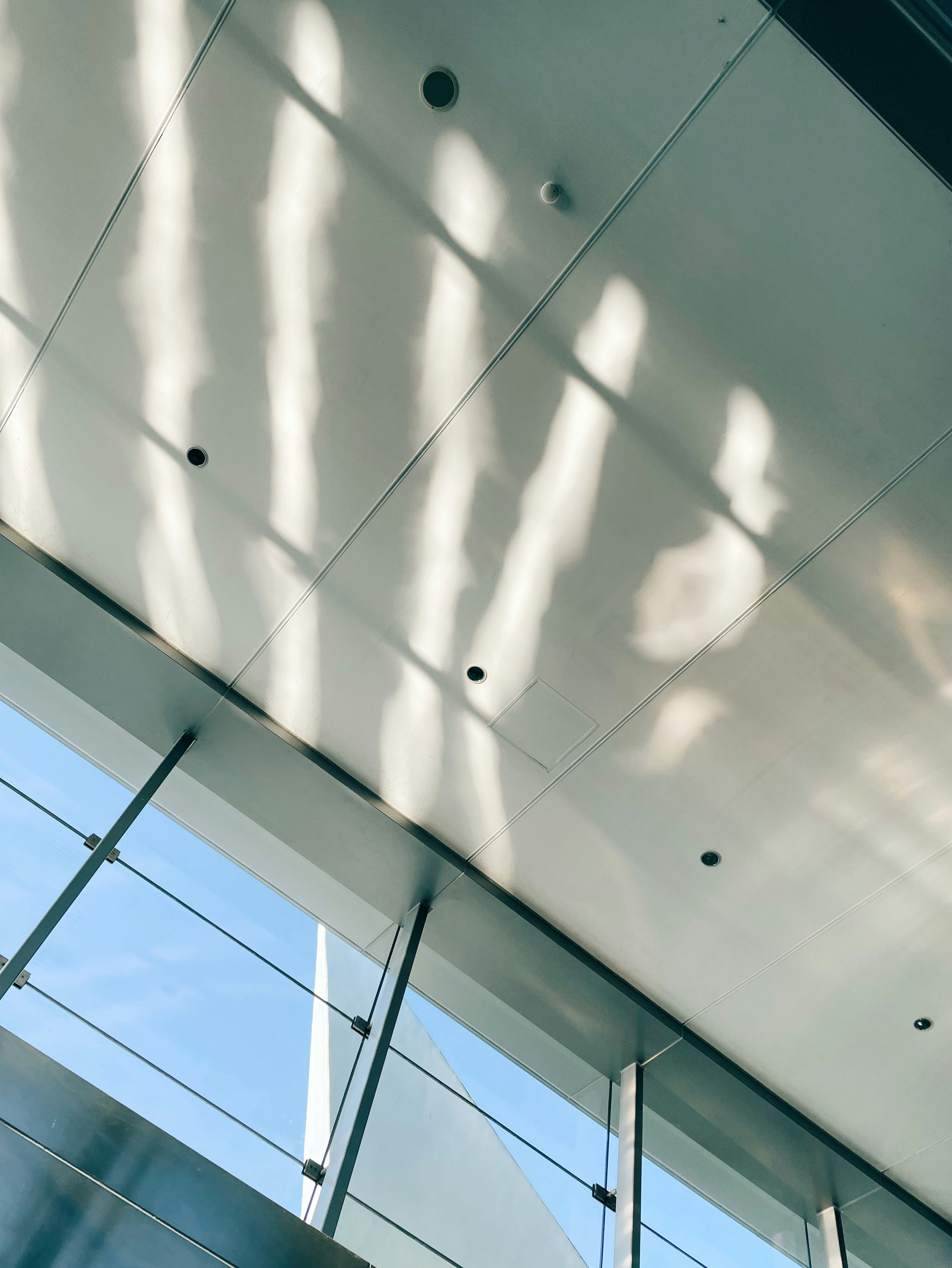 Shadows cast on the ceiling of a building photo – Free Indoors Image on ...