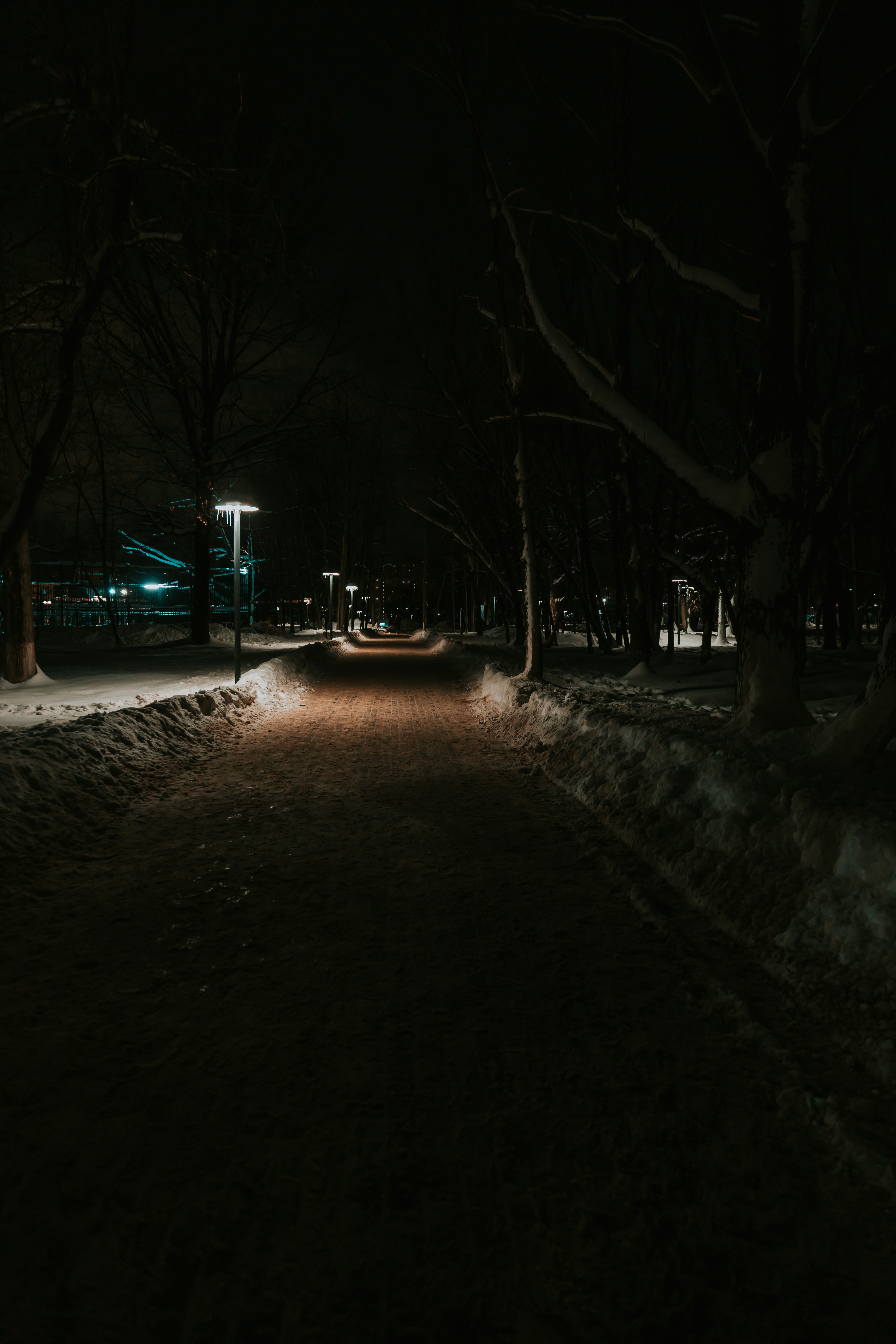 Photo by Jah Nomad with Canon EOS RP