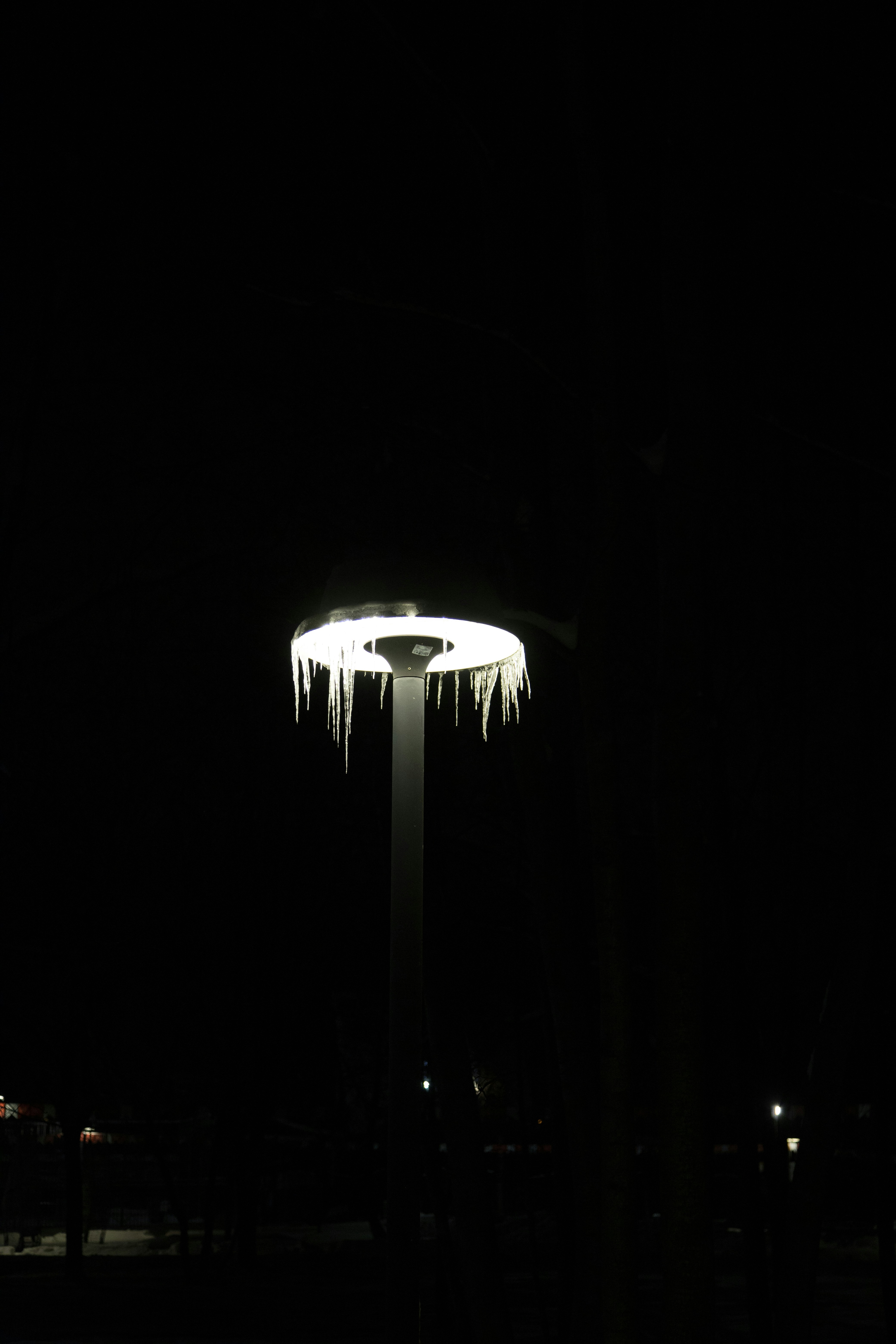 Photo by Jah Nomad with Canon EOS RP