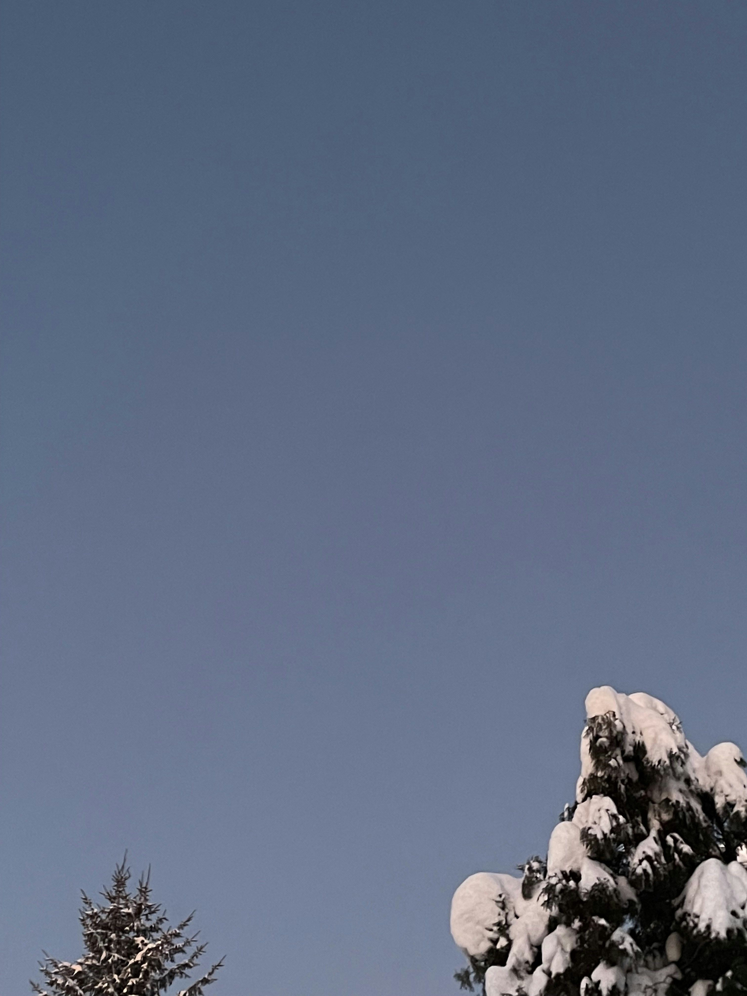 Foto Un snowboarder está haciendo un truco en el aire – Imagen Árbol gratis en Unsplash