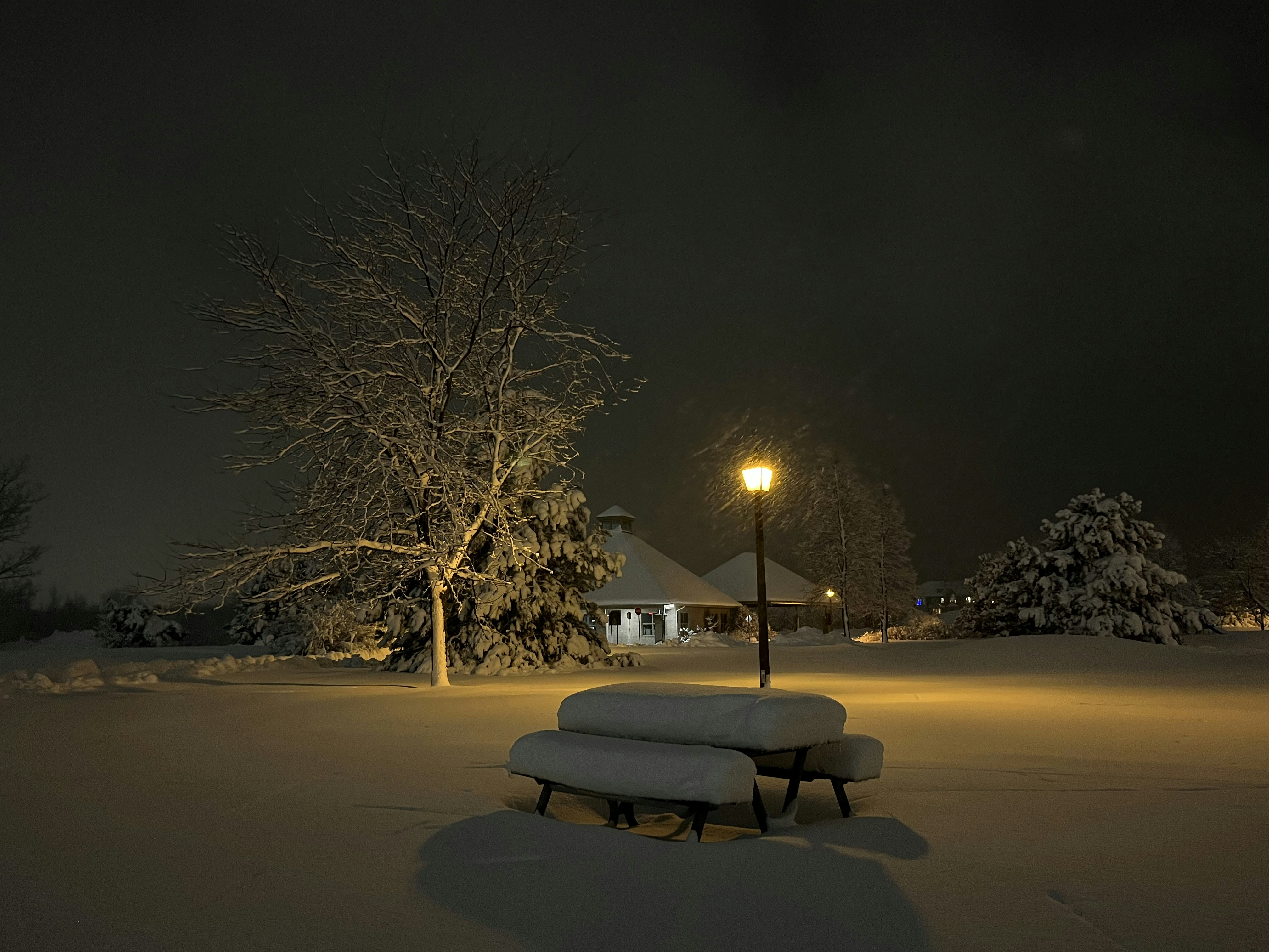 a park bench covered in snow at night