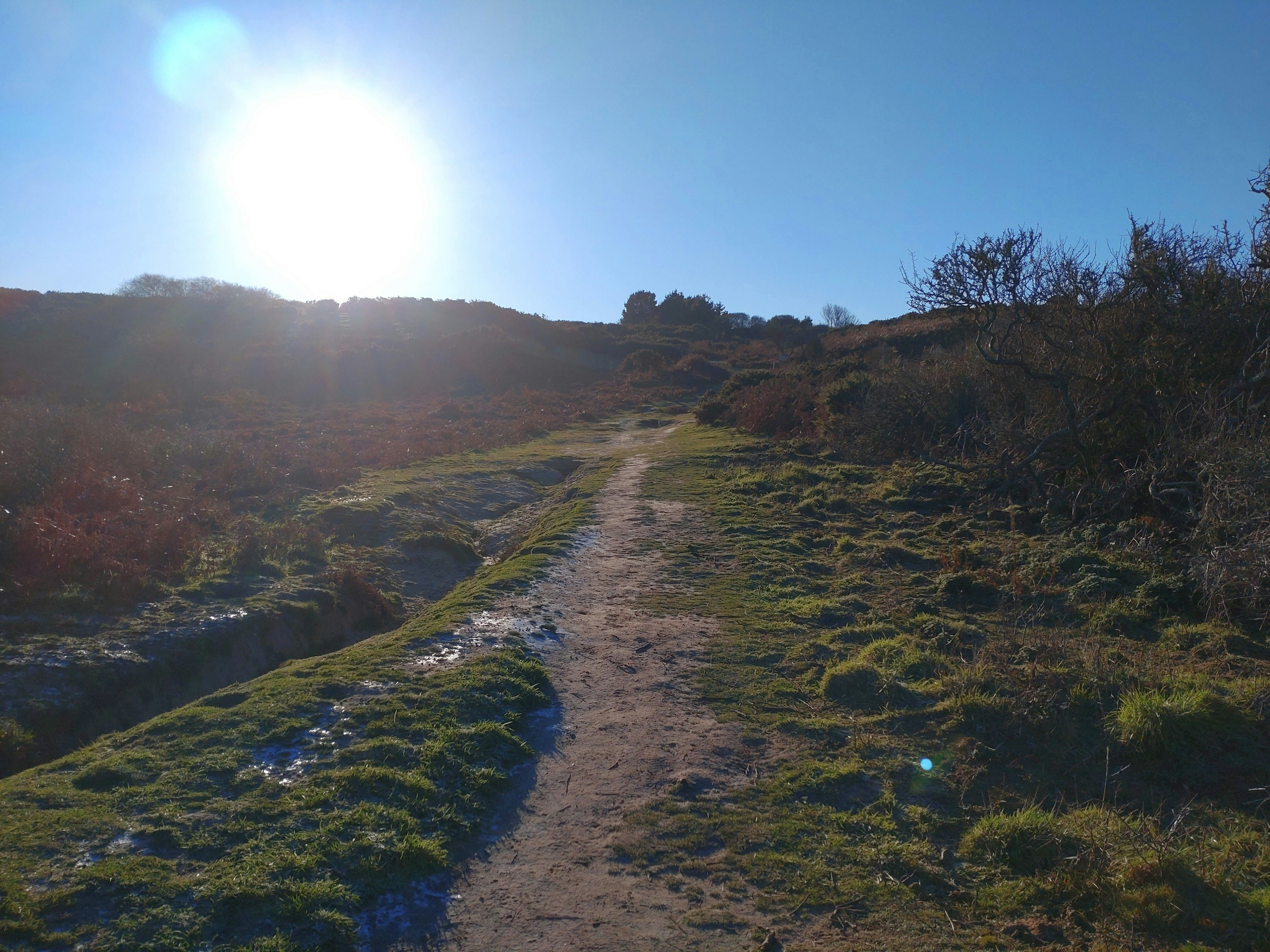 Sunlit Moor Trail: A Narrow Path Through Gorse and Grass Toward the Horizon