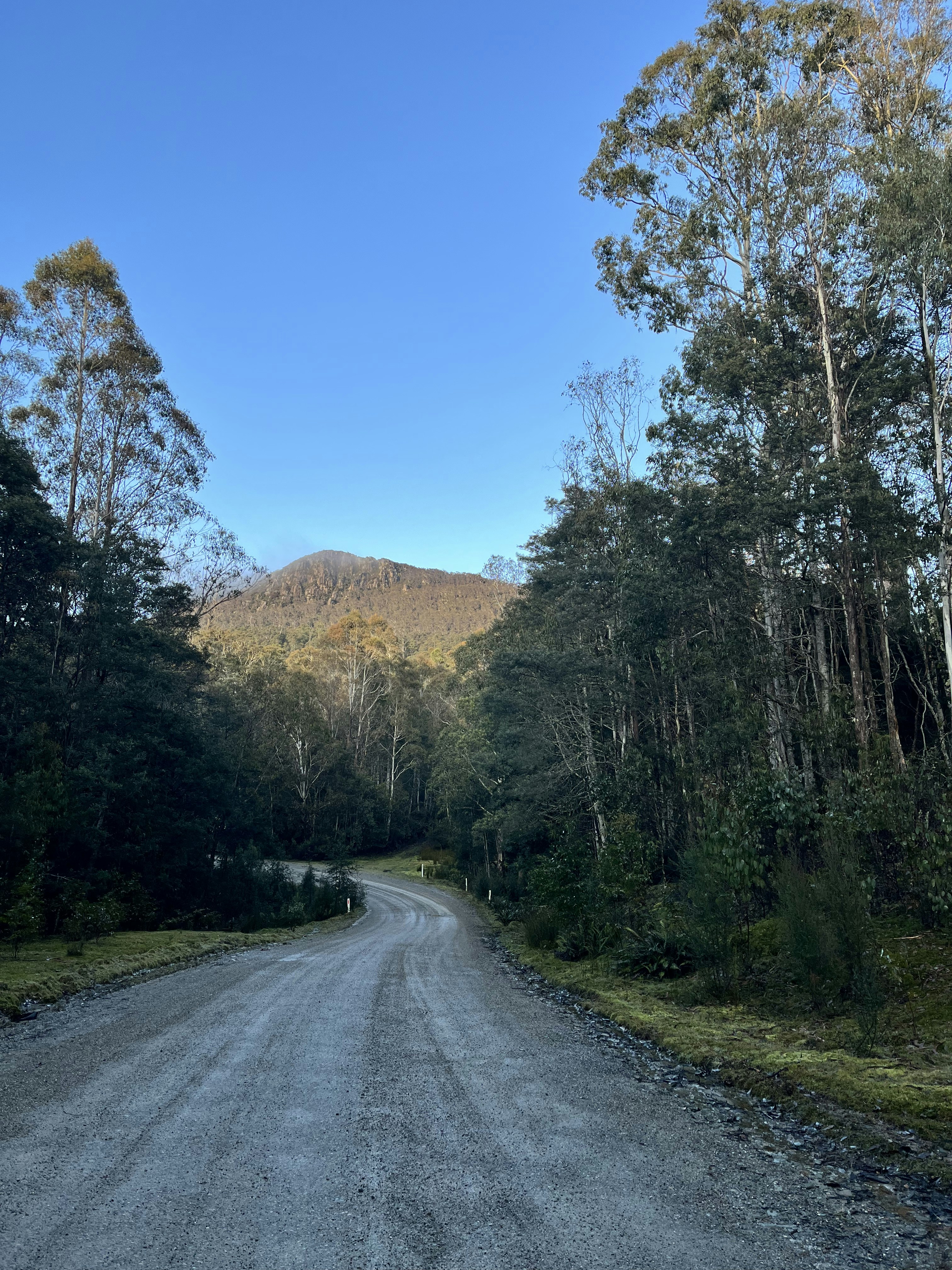 Une route de gravier au milieu d’une forêt photo – Photo Australie ...