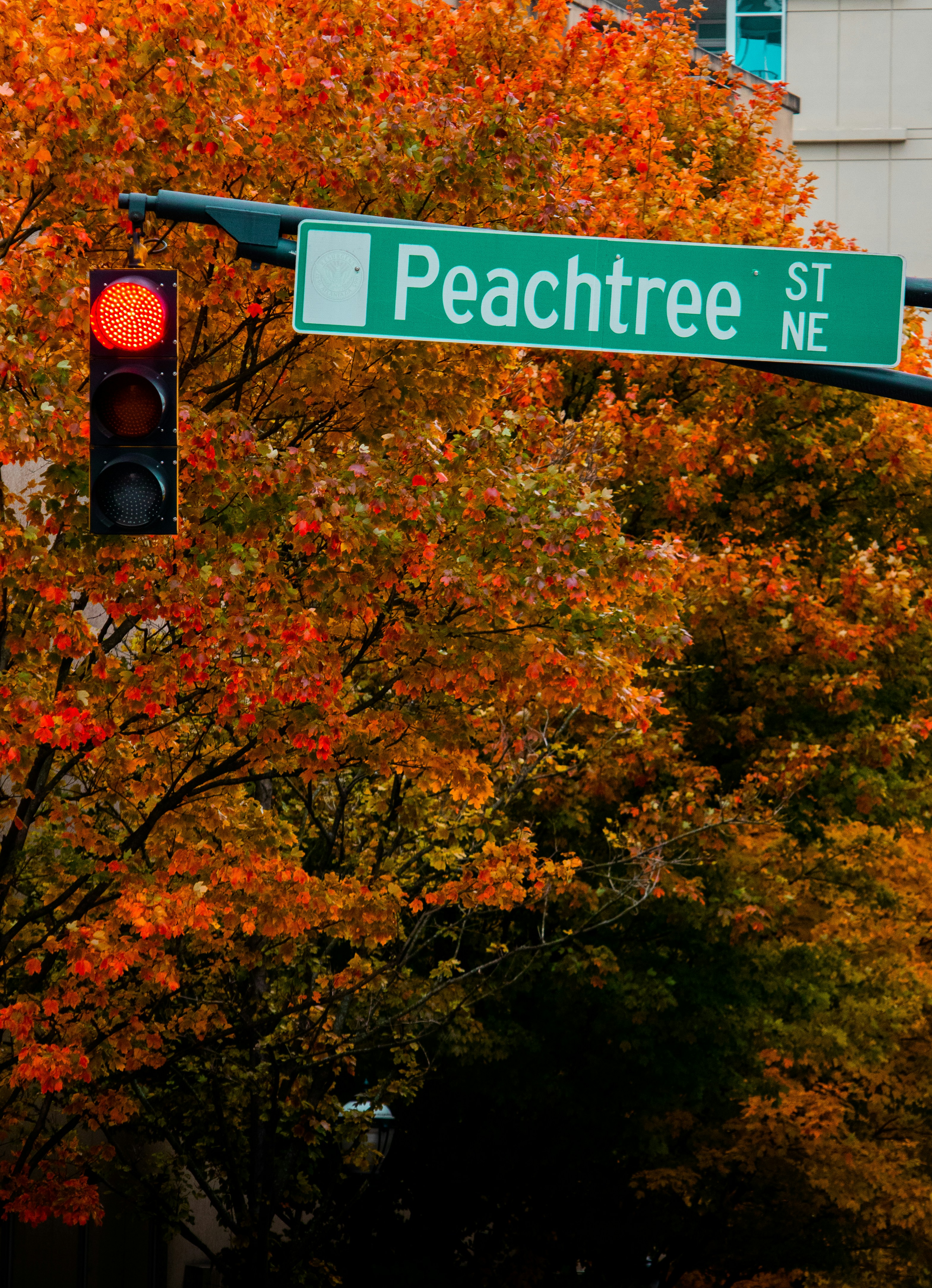 A green street sign hanging from a traffic light photo – Free Ga Image ...