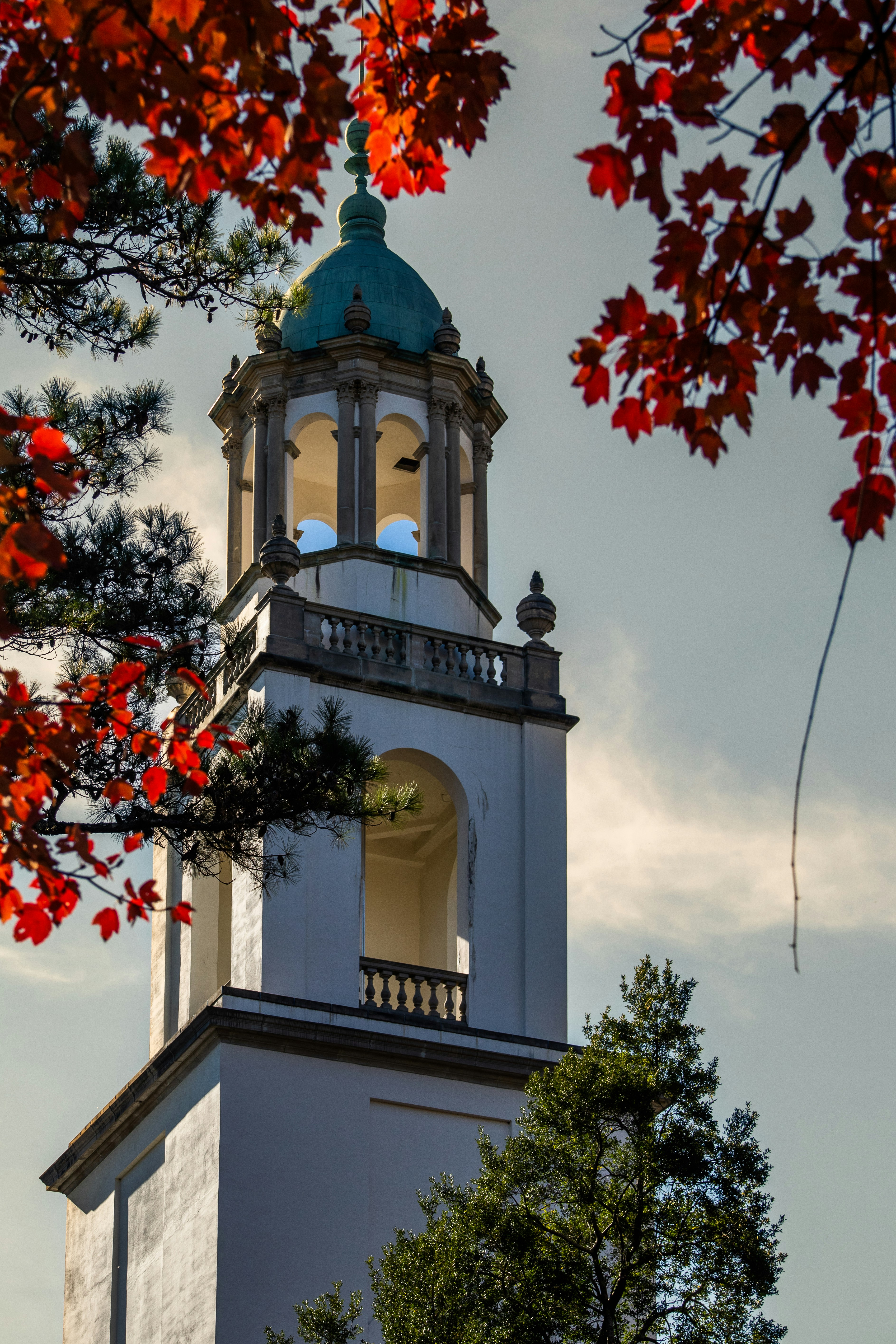 Crimson Canopy Framing a Turquoise Bell Tower Against a Clear Sky