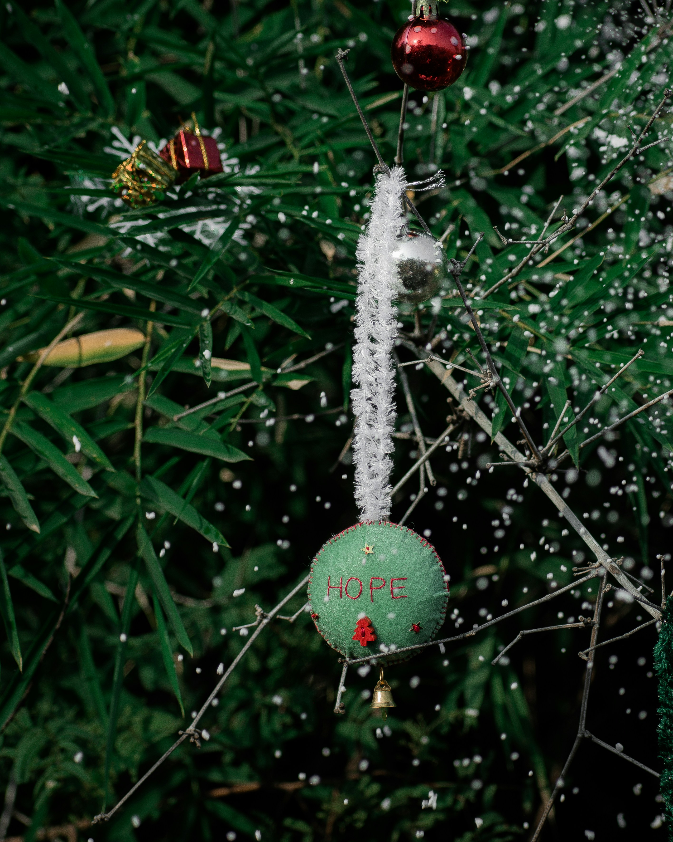 a christmas ornament hanging from a tree