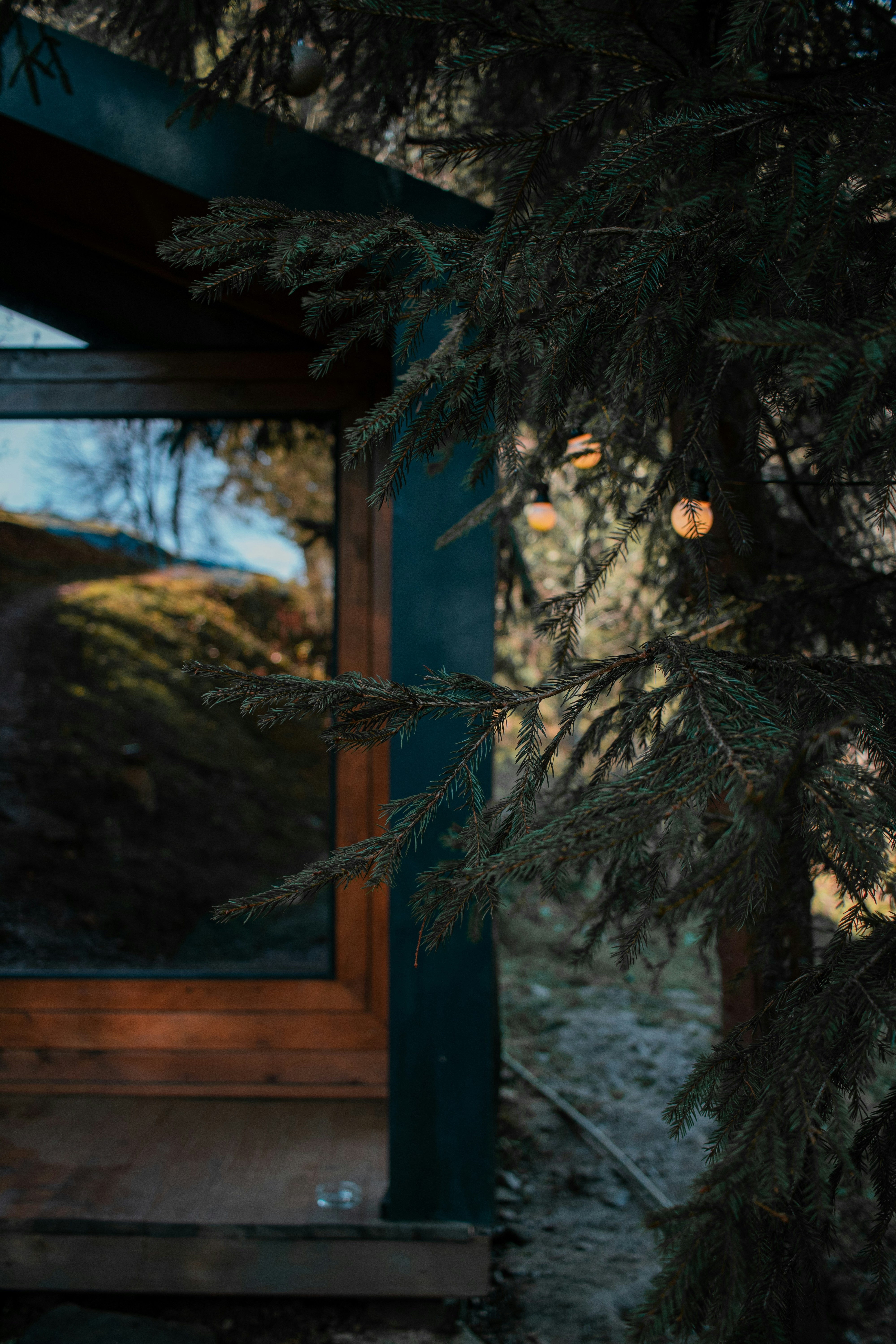 Cedar Veil Over a Quiet Porch Framed by Evergreen