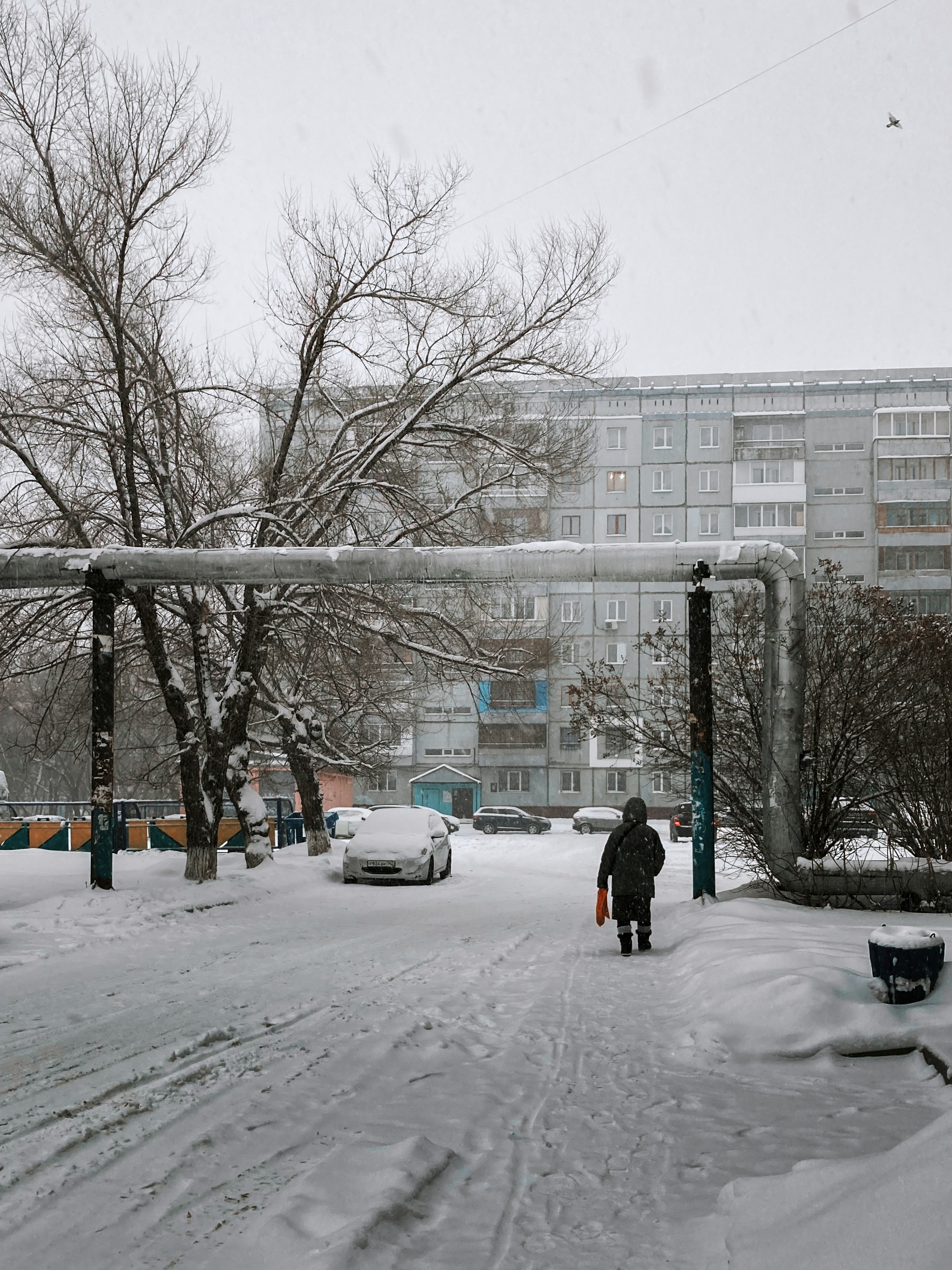 Snowbound Avenue: A lone pedestrian beneath a frosted industrial arch