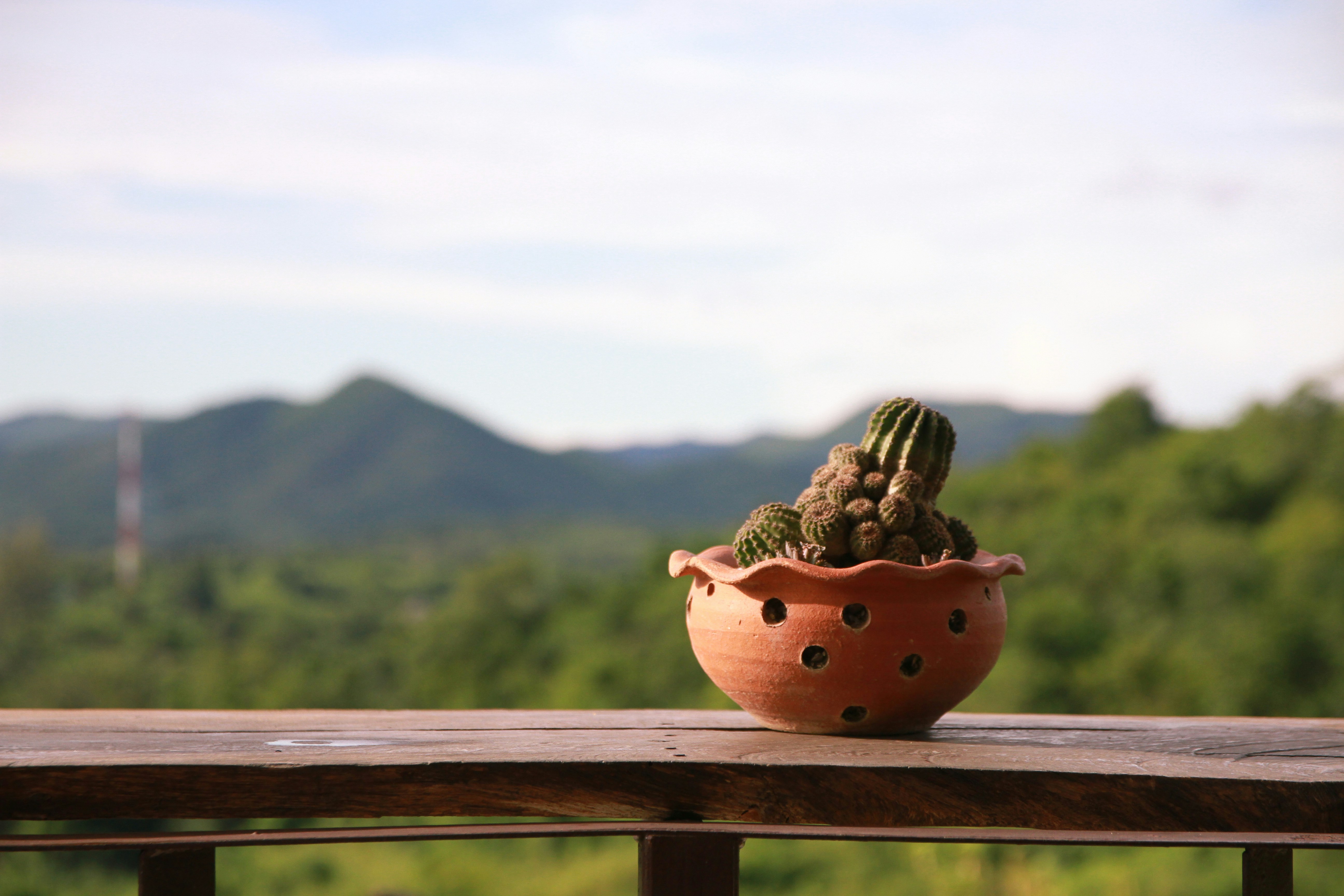 Terracotta Bowl with Cacti Silhouette against Mountain Range