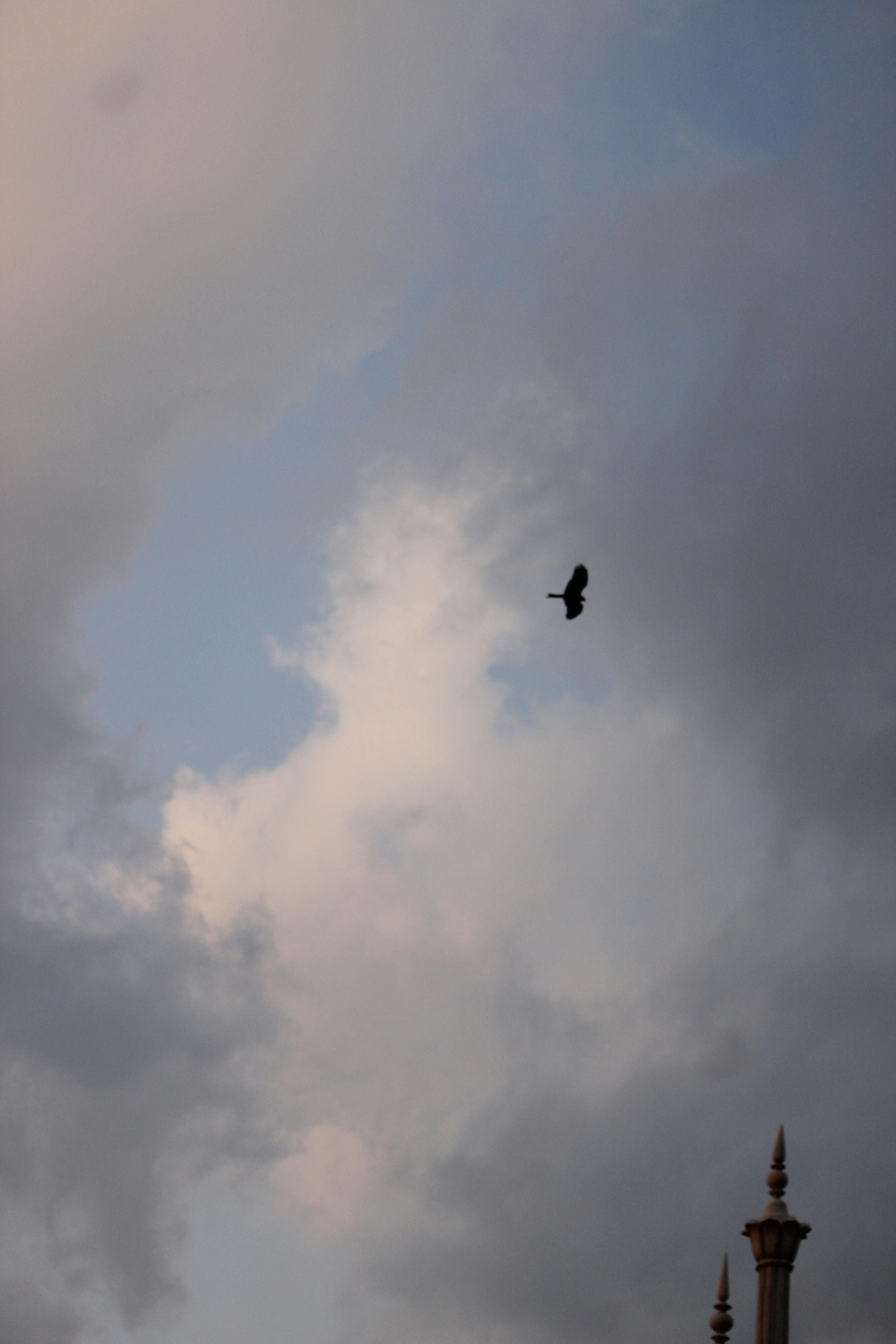 Muhammed Midlaj (@midlaj_el_katib) | Unsplash Photo Community