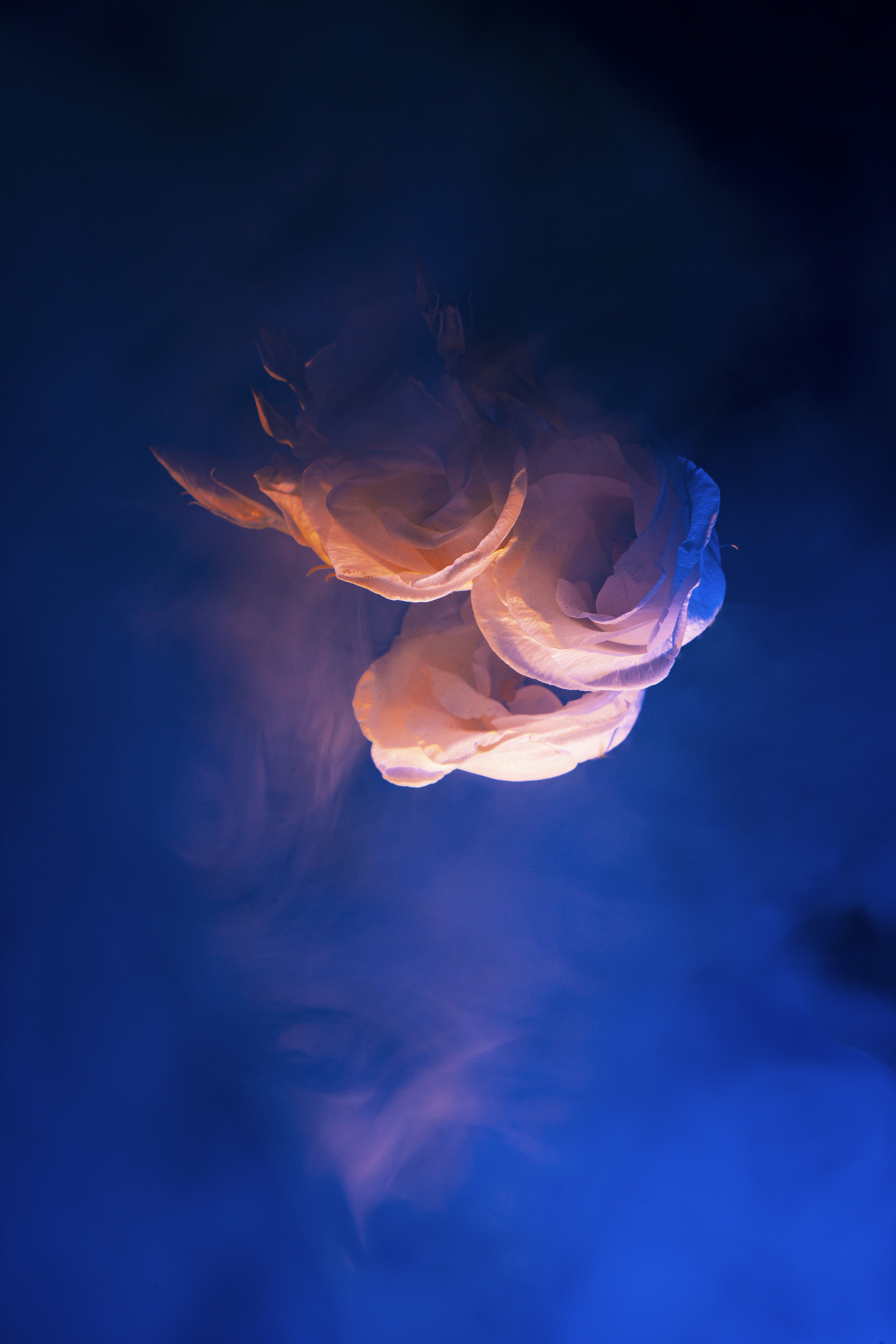 Photo by Klara Kulikova with Canon EOS 6D