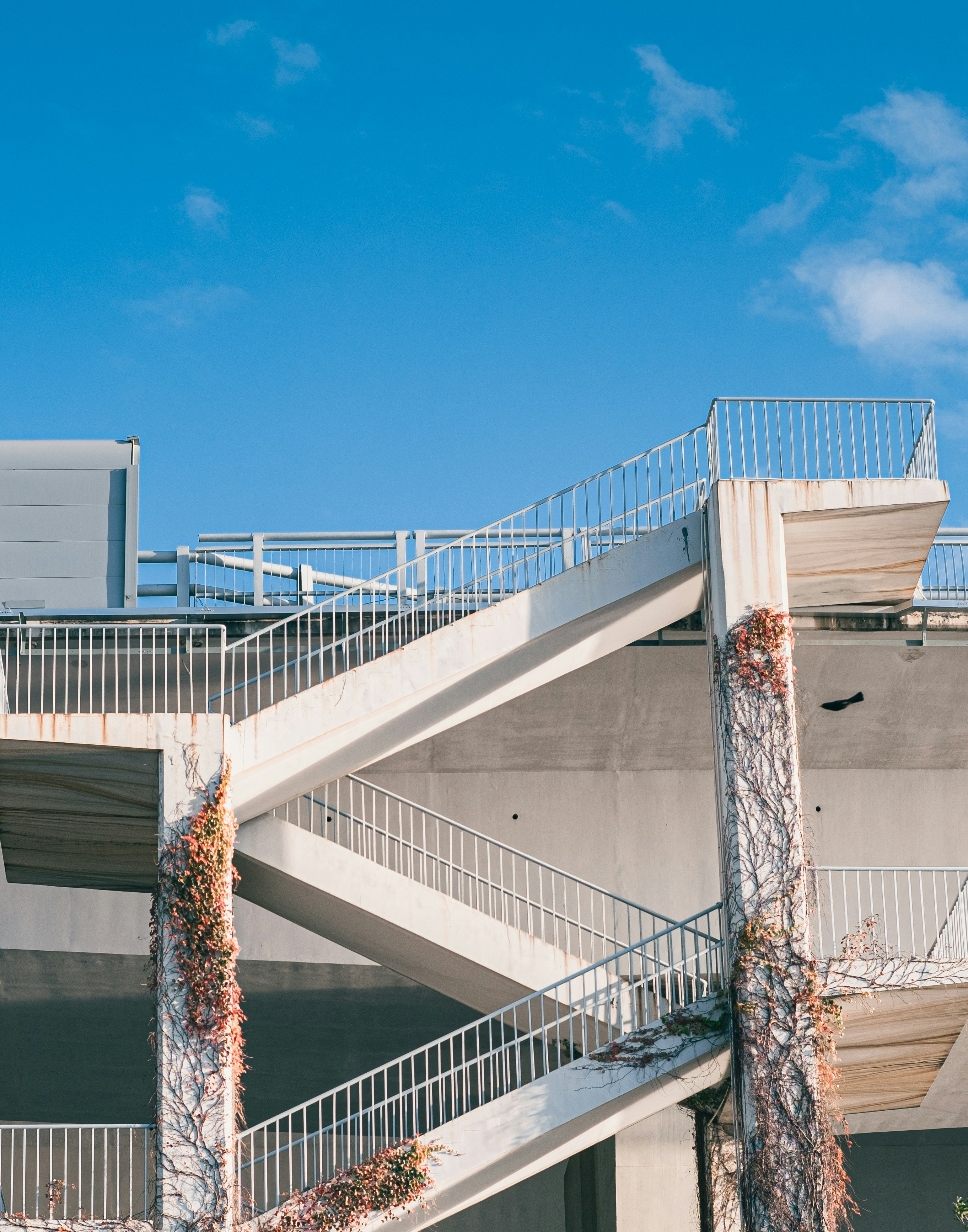 A building with a bunch of plants growing on the side of it photo ...