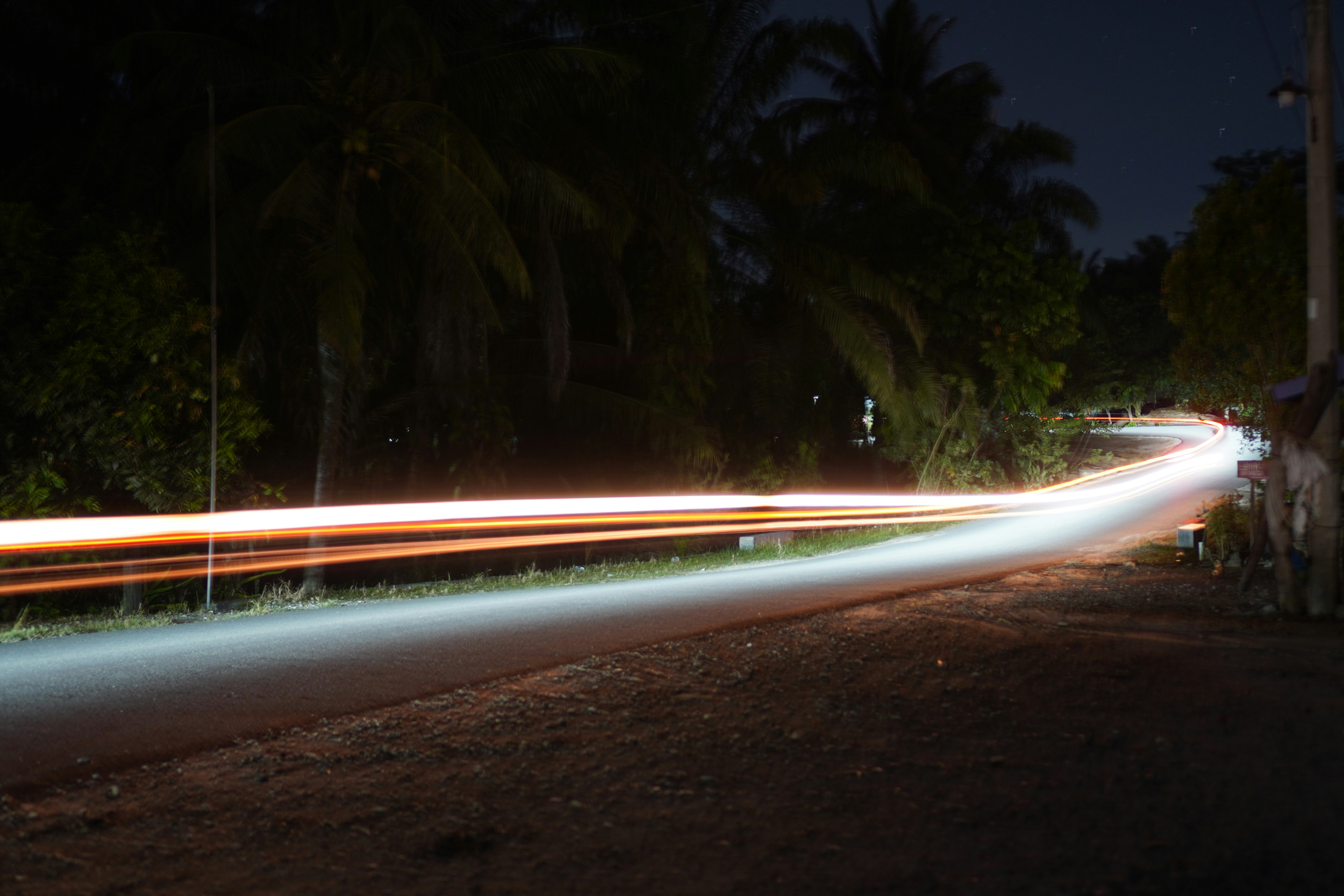 Night Corridor: Light Trails on a Quiet Road