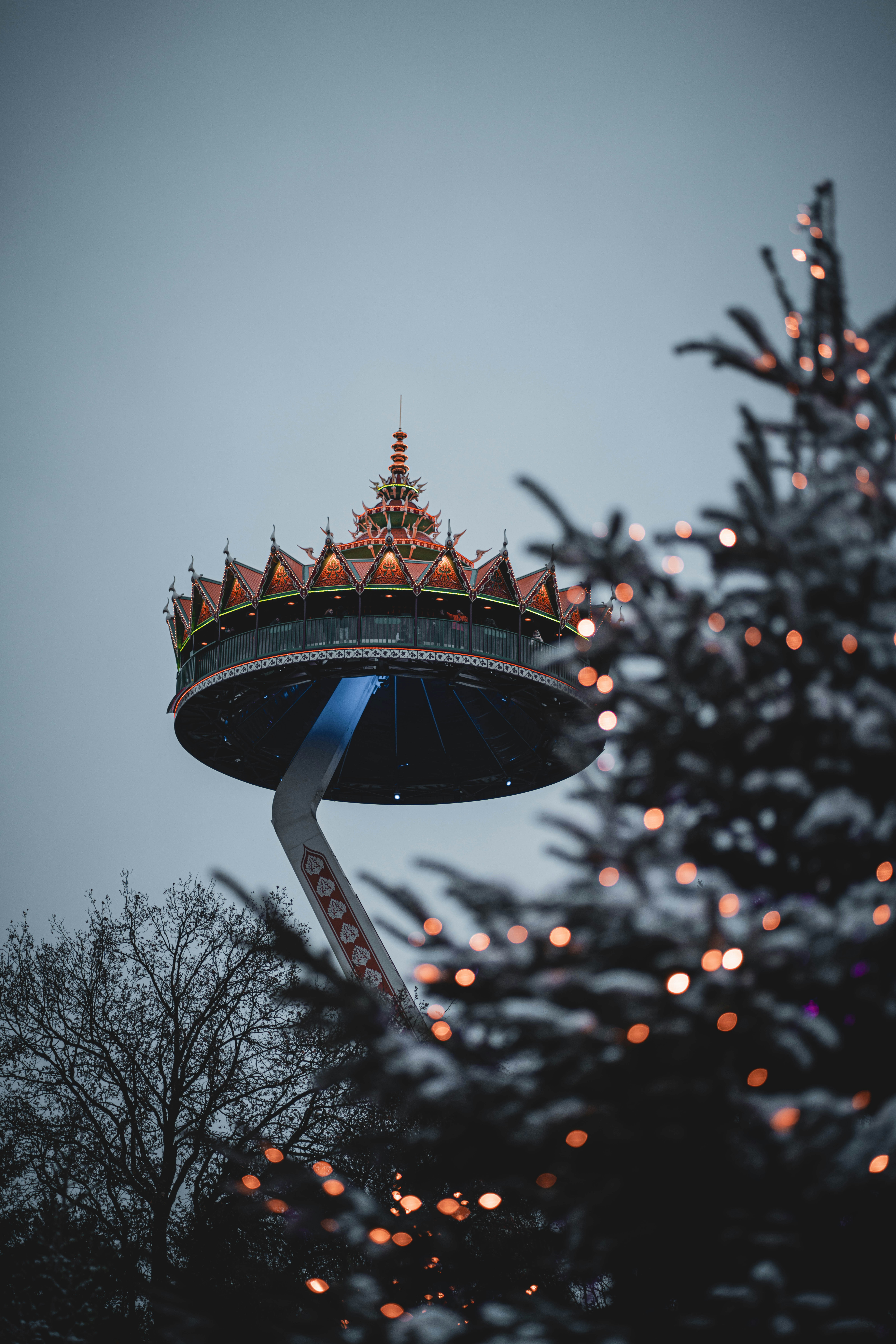 Photo by Jane Duursma with Sony Alpha 7R V